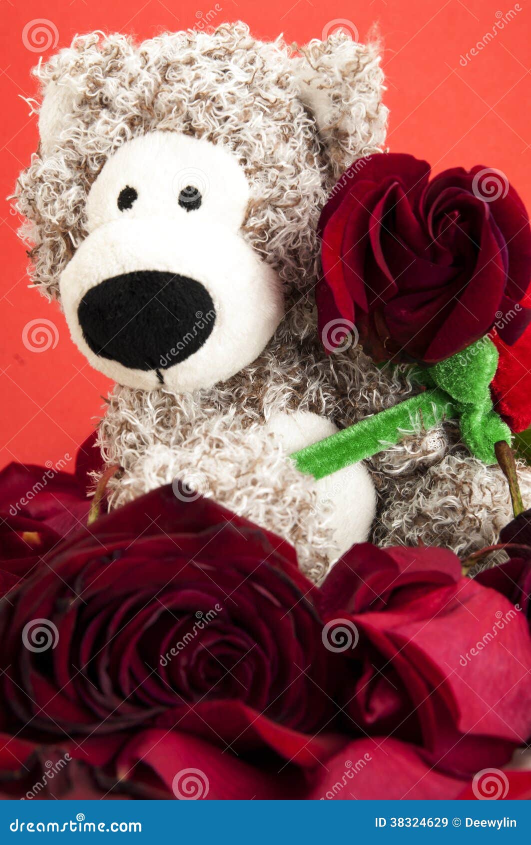 Bear with roses stock image. Image of green, stuffed - 38324629