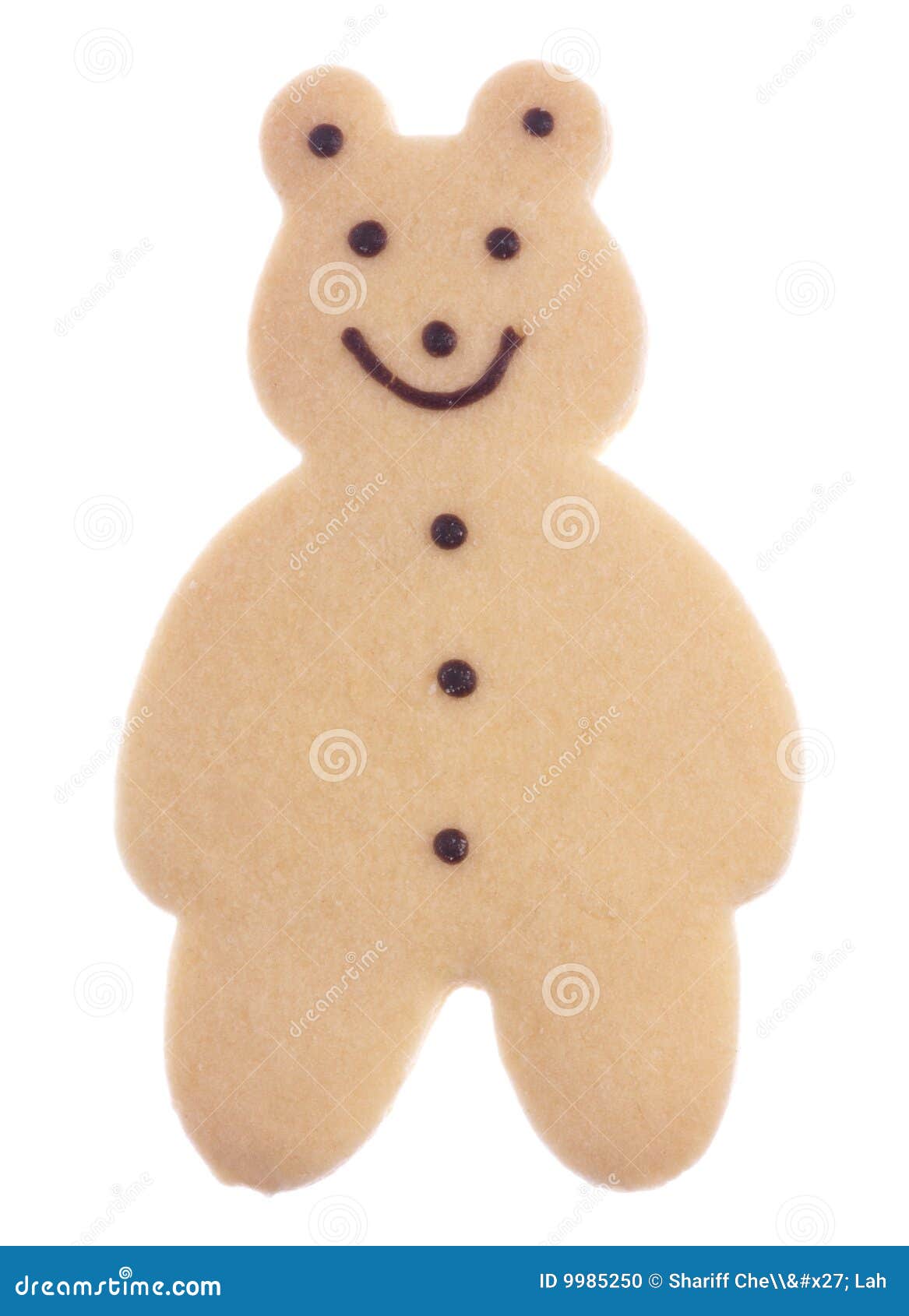 Bear Shaped Biscuit Isolated Stock Photo - Image of cookie, baked: 9985250