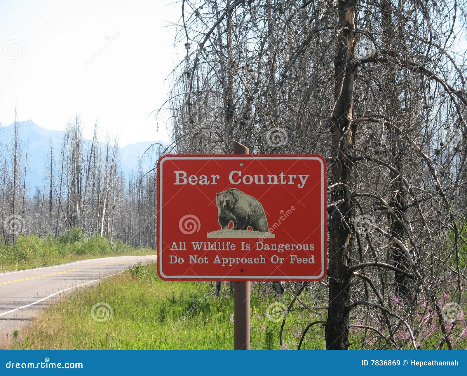 Bear sign stock image. Image of sign, bear, nature, wildlife - 7836869