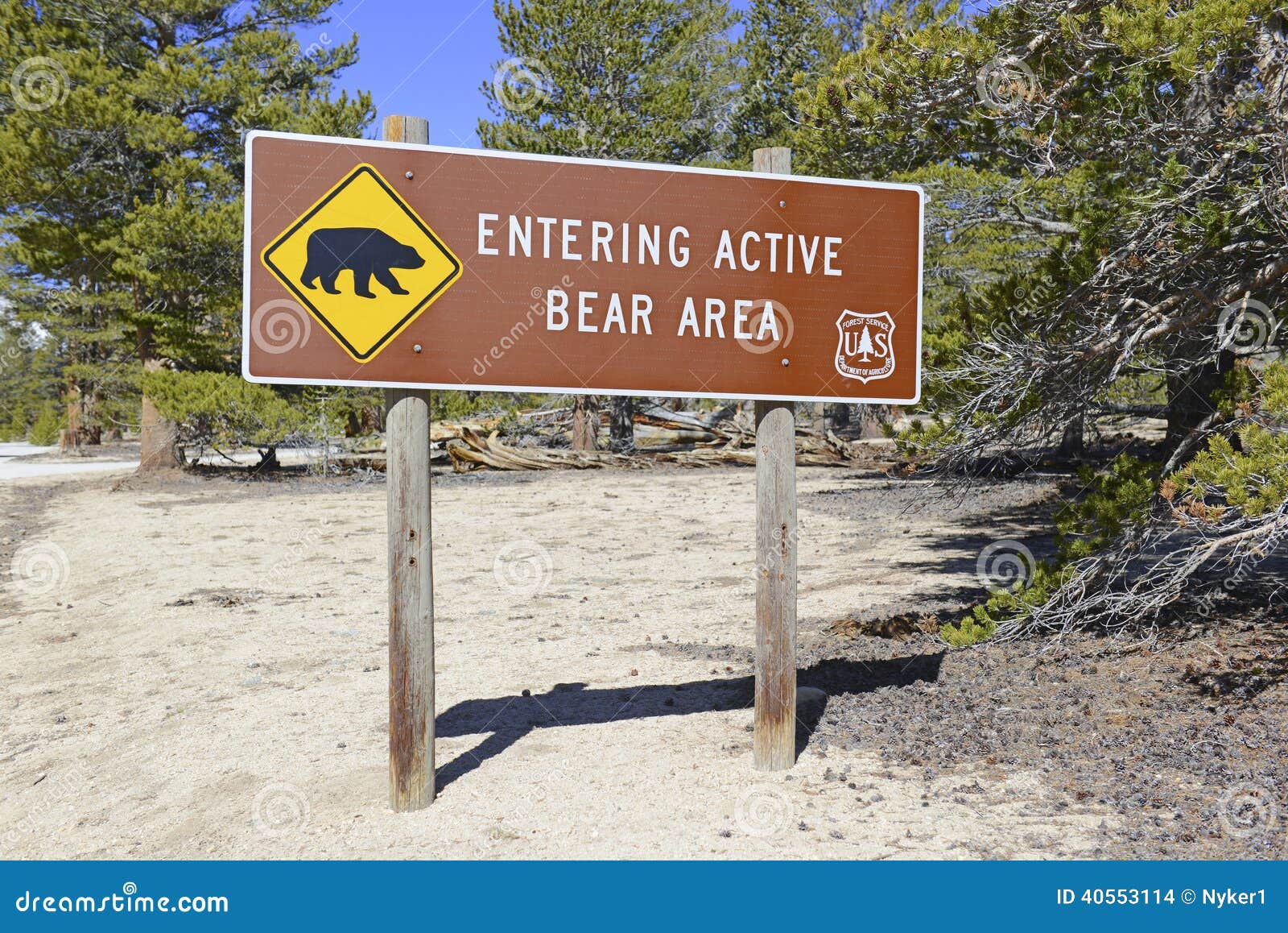 Bear Sign in the Recreation Area Stock Photo - Image of backcountry ...