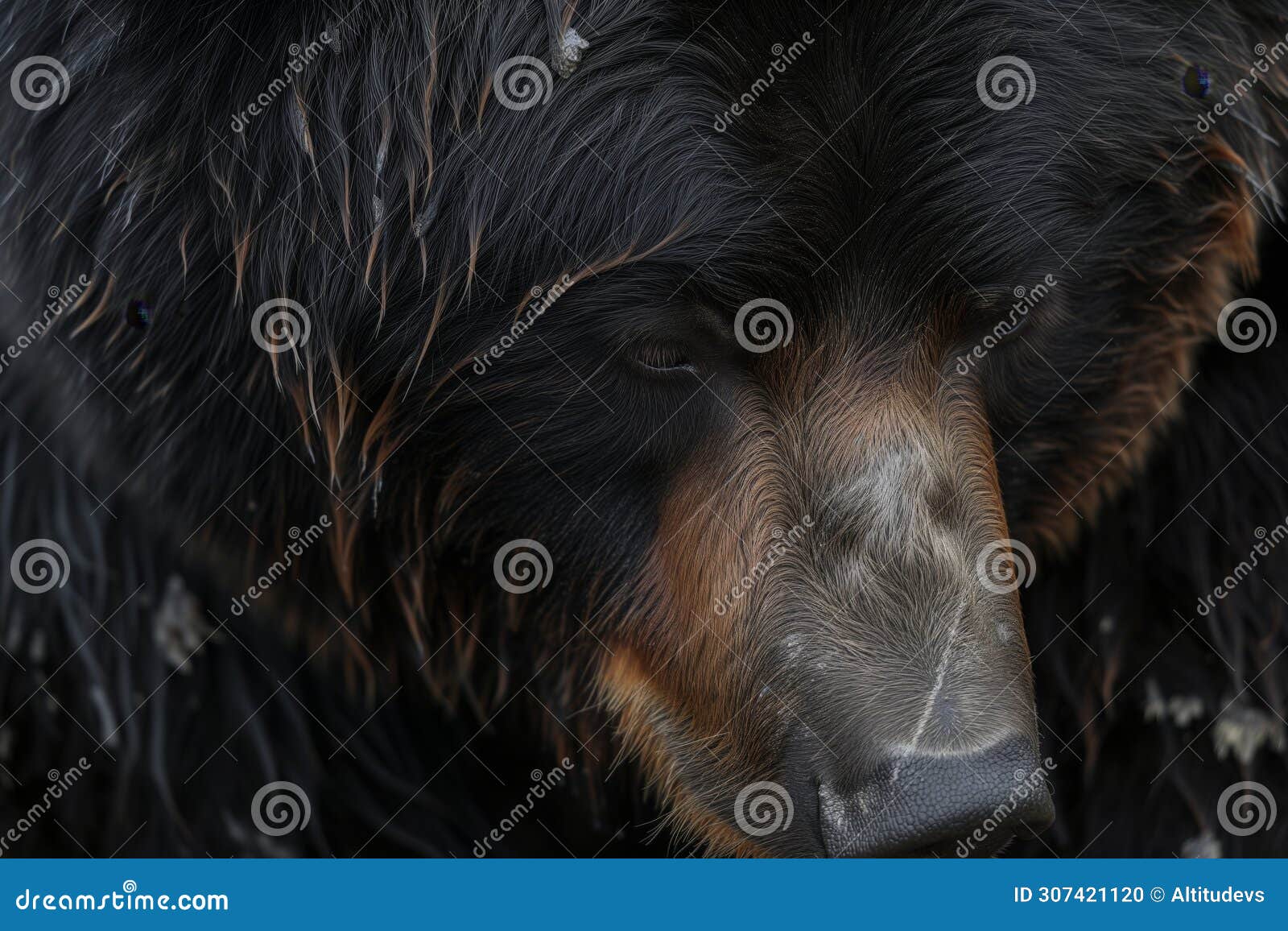 Royalty Free Images, Cartoons, Illustrations And Photos Designed By ...