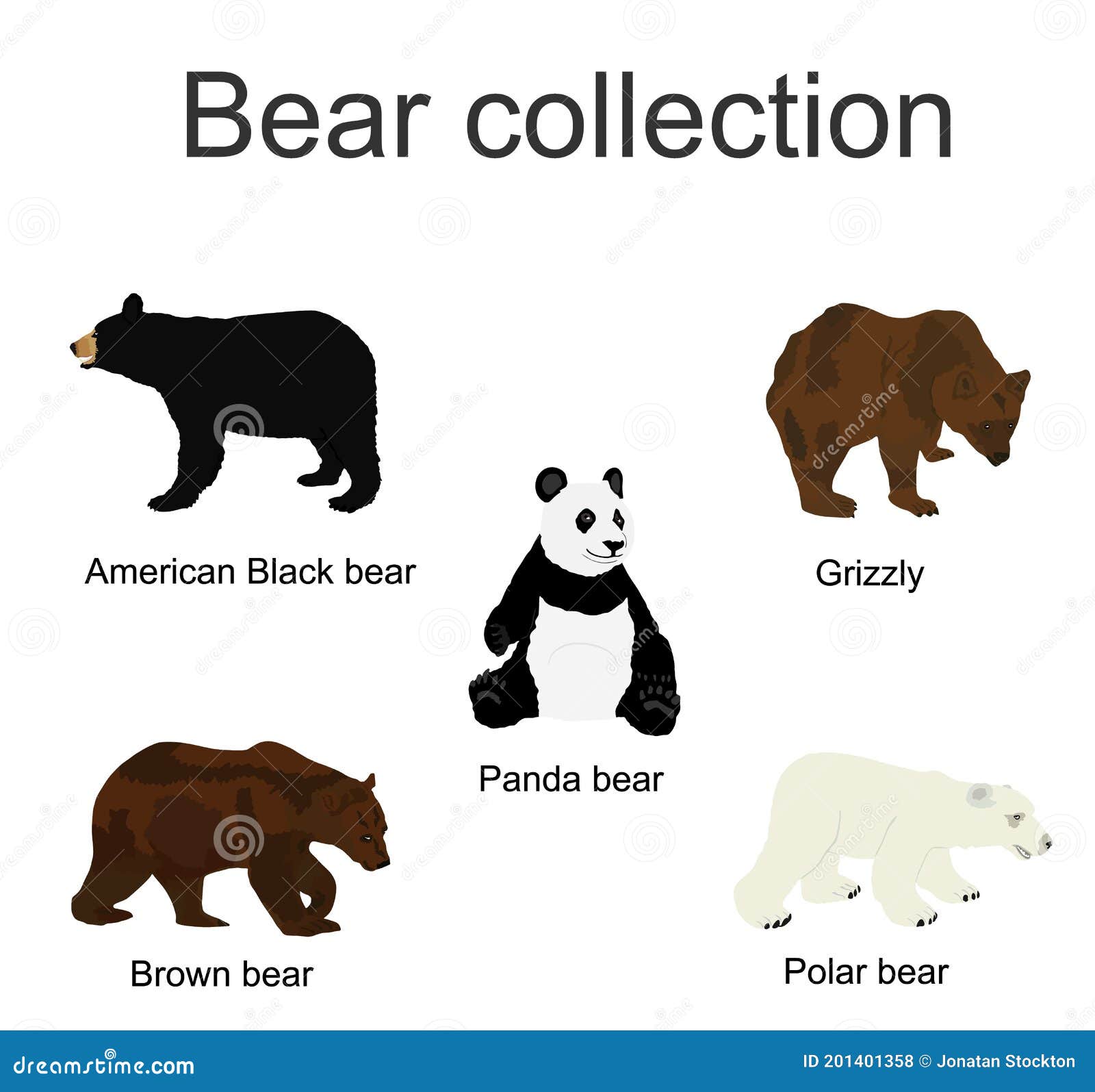 Bear Species Collection Vector Illustration Isolated on White ... Bear Species Collection Vector Illustration Isolated on White ...