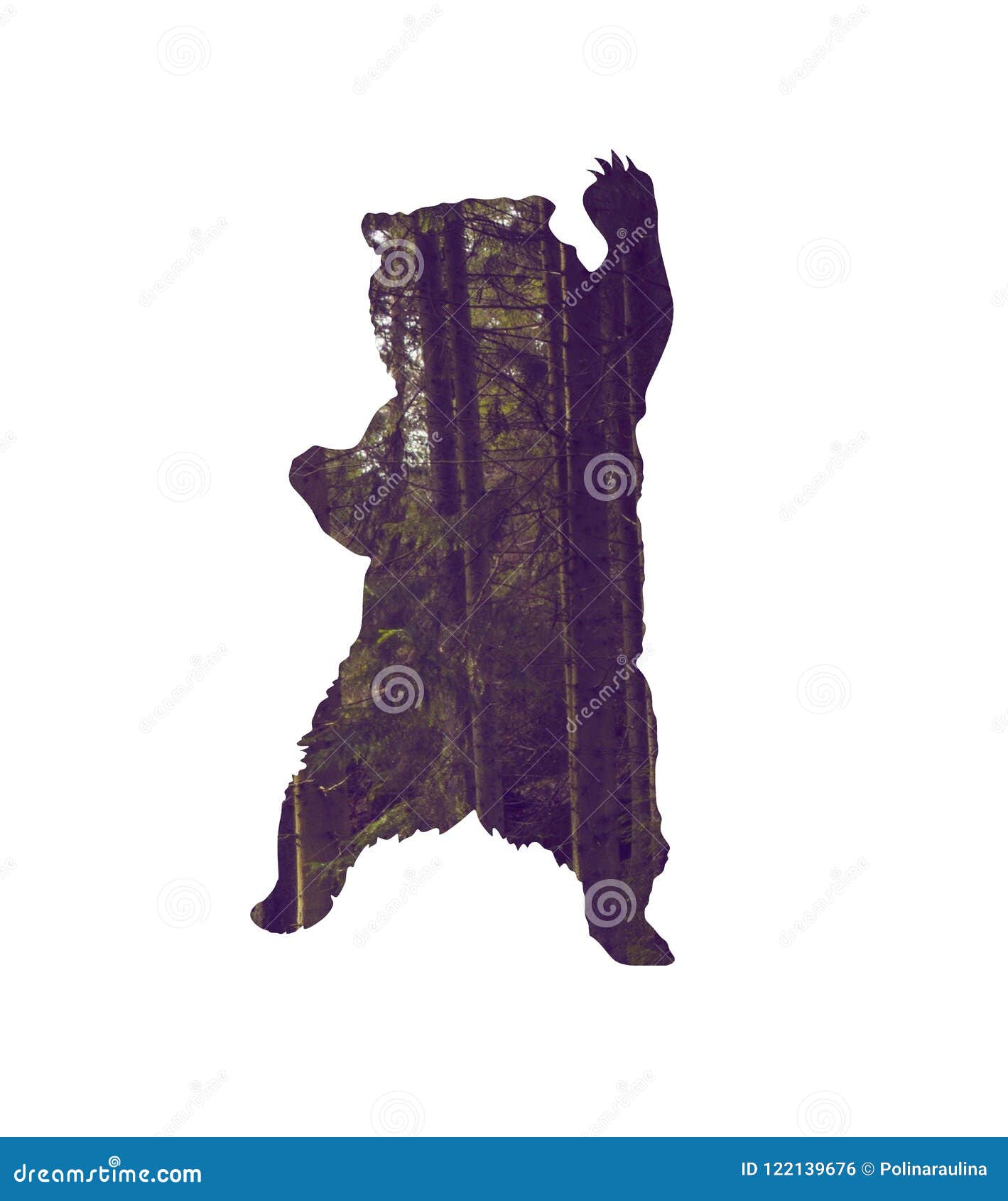 Bear with Pine Forest Inside the Silhouette Stock Photo - Illustration ...