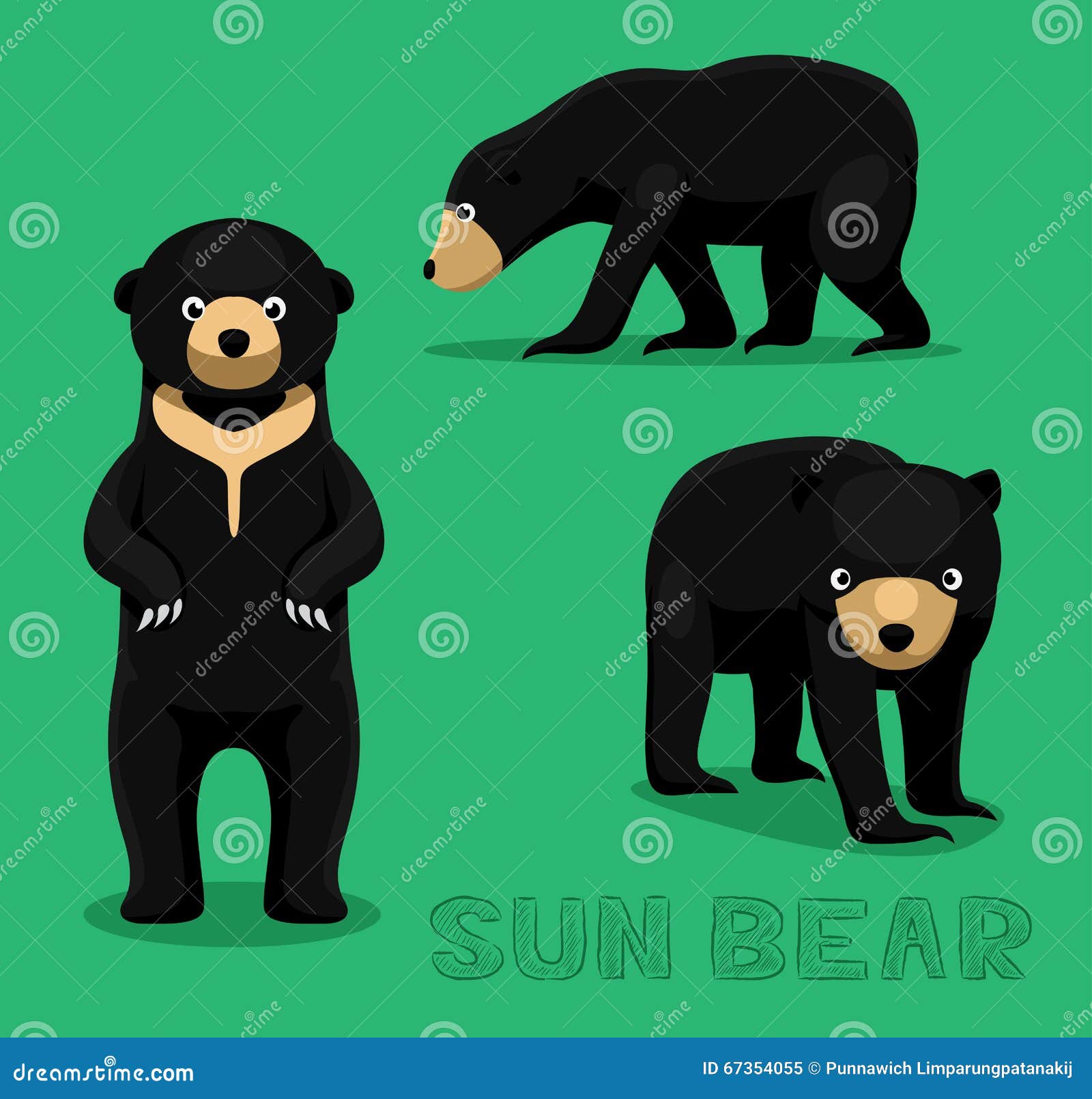Bear Sun Bear Cartoon Vector Illustration Stock Vector - Illustration ...