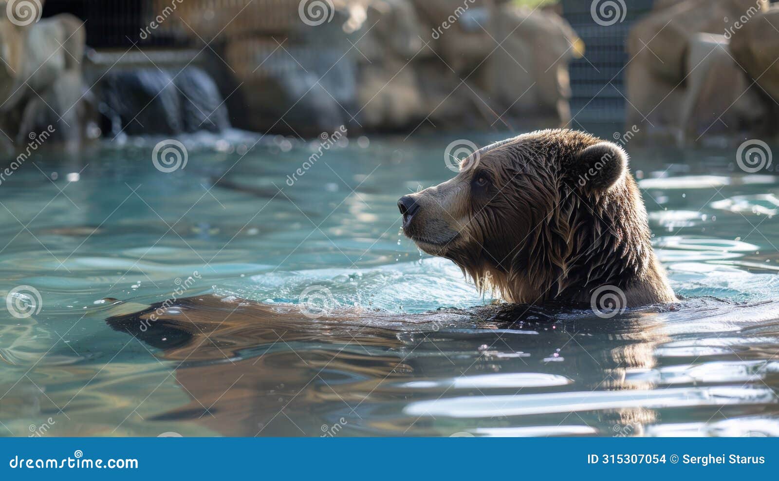 A Bear Swimming in a Pool with Rocks and Waterfalls, AI Stock Photo ...