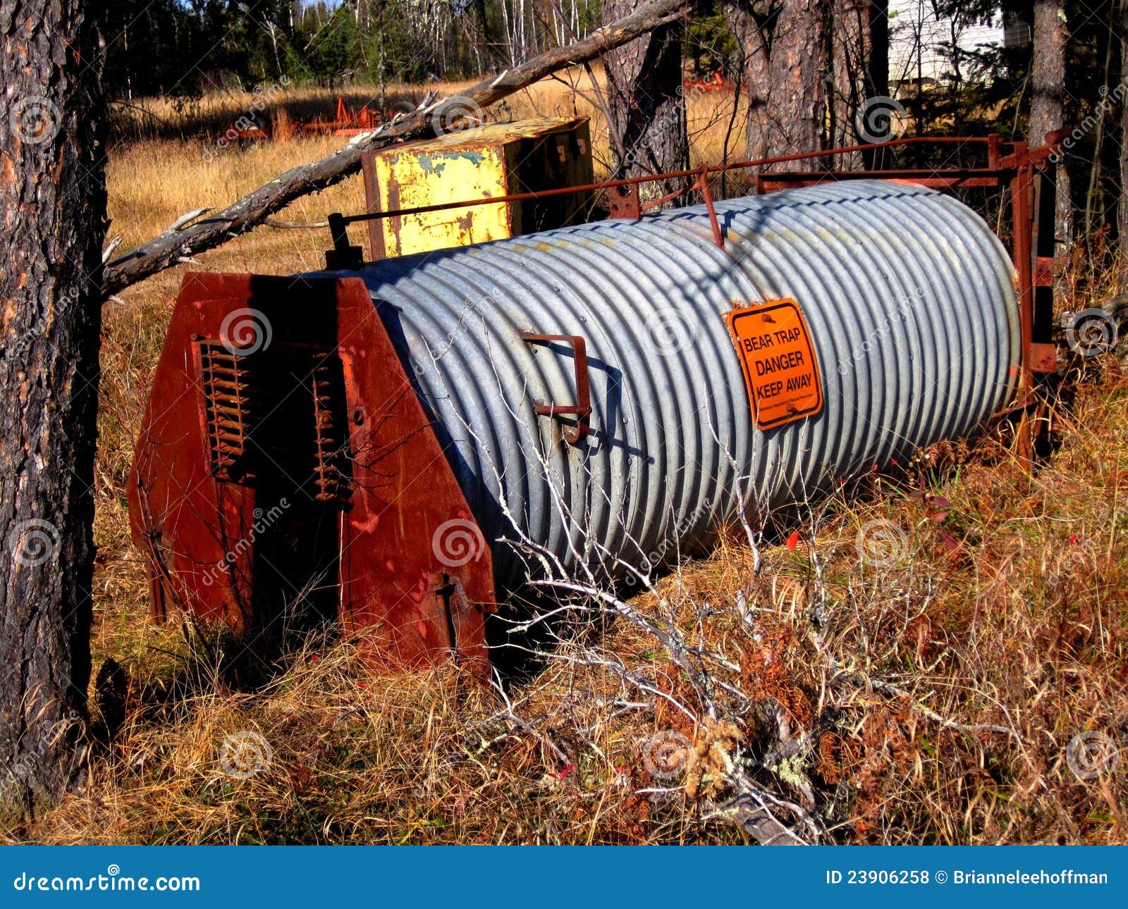 Bear Trap stock photo. Image of bear, conservation, caution - 23906258