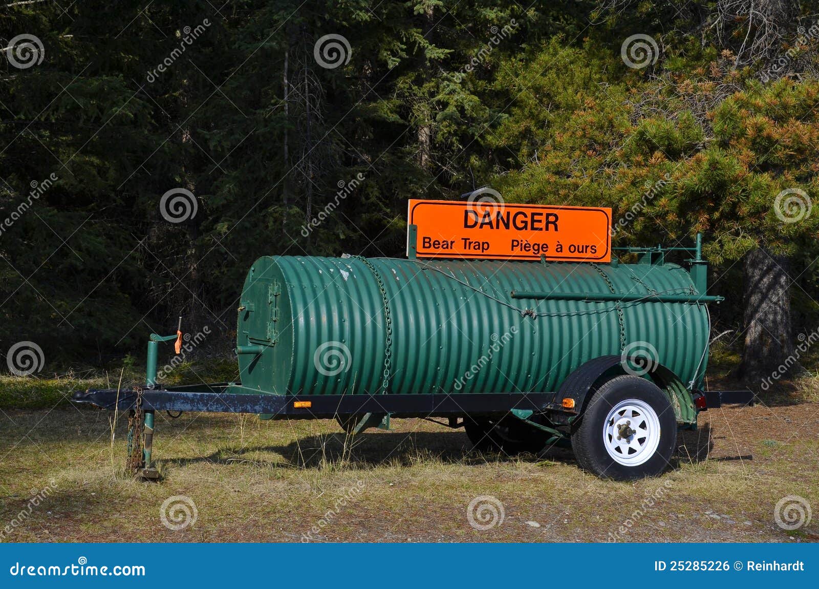 Bear trap stock photo. Image of container, wild, conservation - 25285226