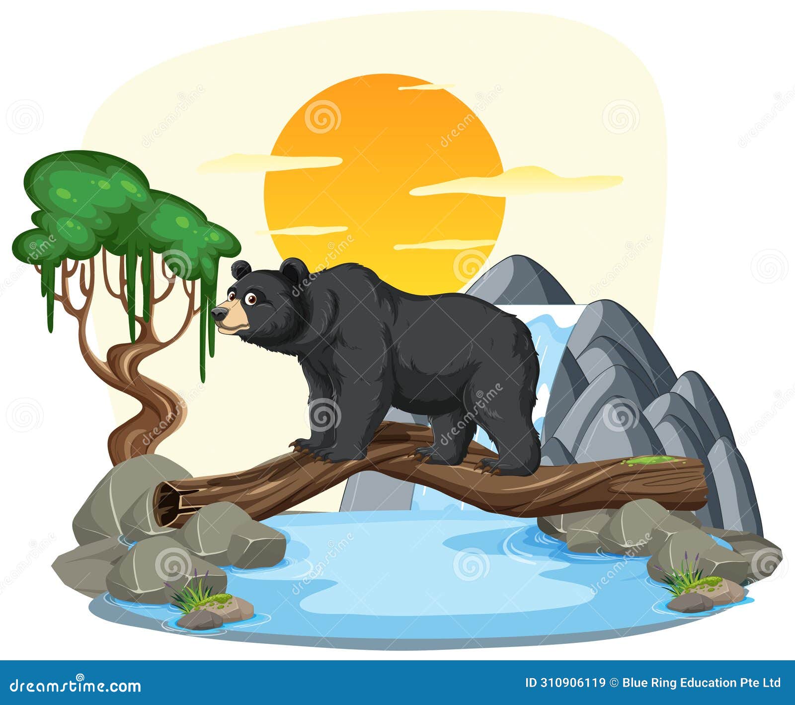 A Bear Walking Over a Log Bridge Stock Vector - Illustration of sunset ...