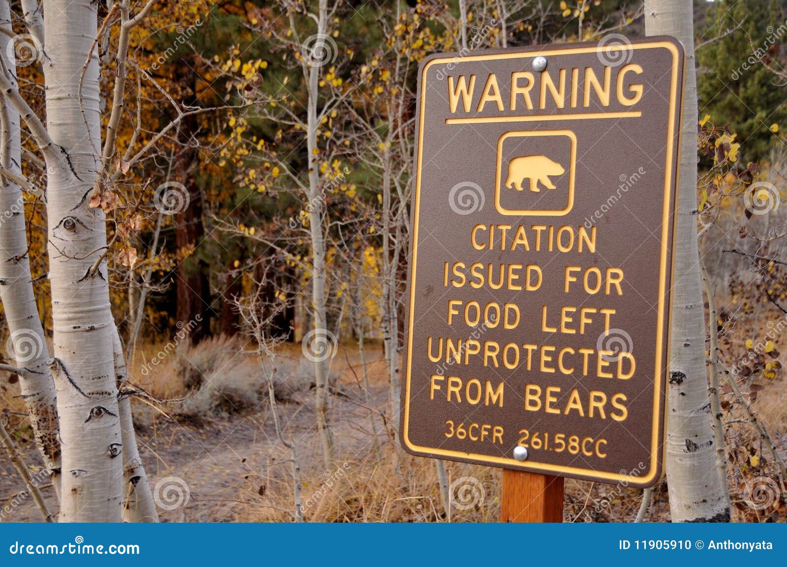 Bear Warning Sign stock photo. Image of protect, view - 11905910