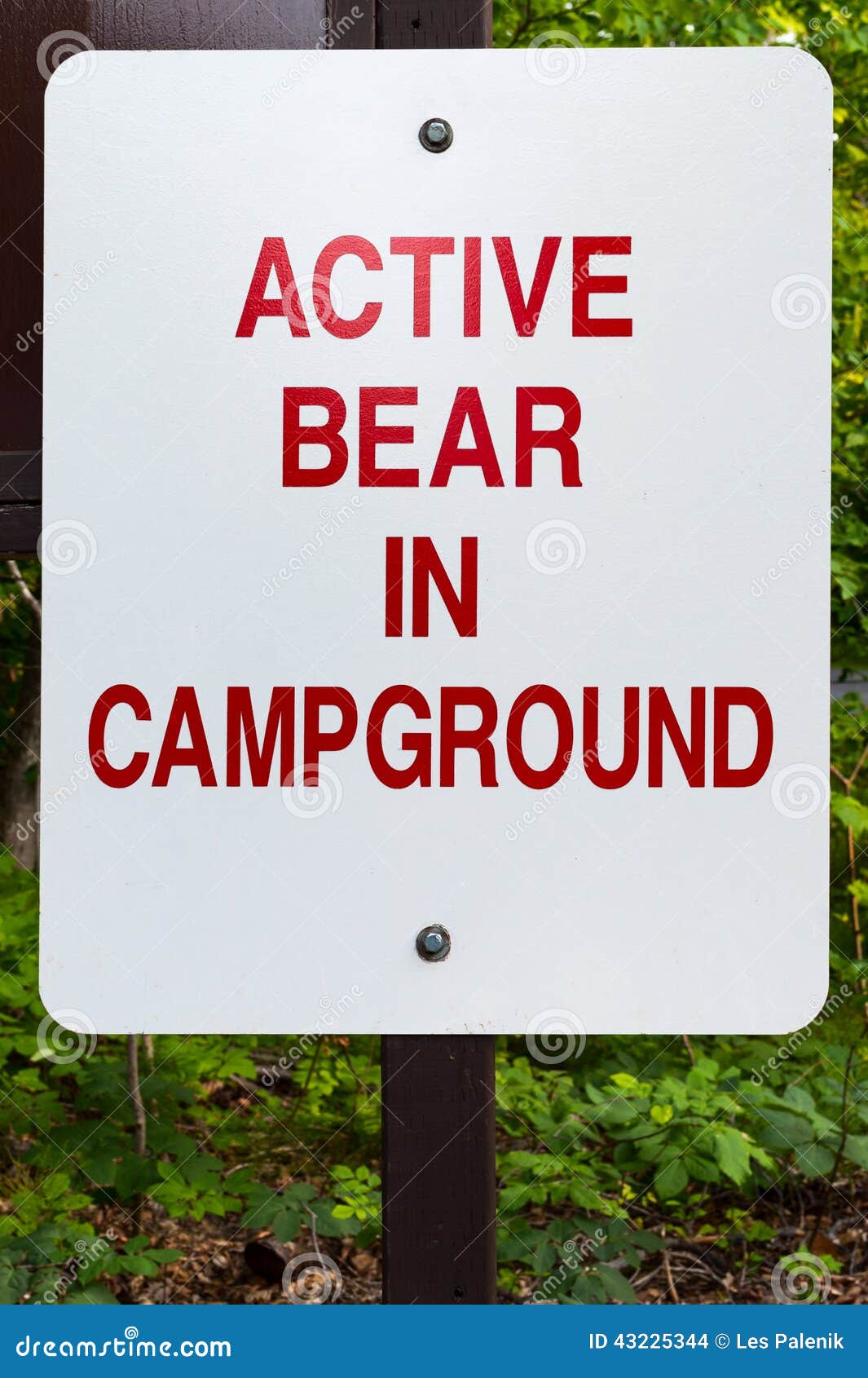 Bear warning sign stock photo. Image of camping, board - 43225344