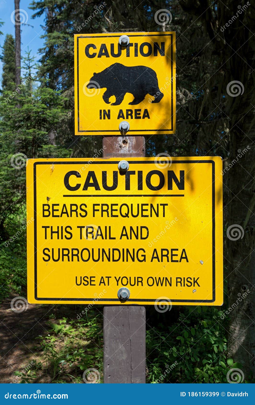 Bear Warning Caution Sign Placed In A Camp Ground Stock Image ...