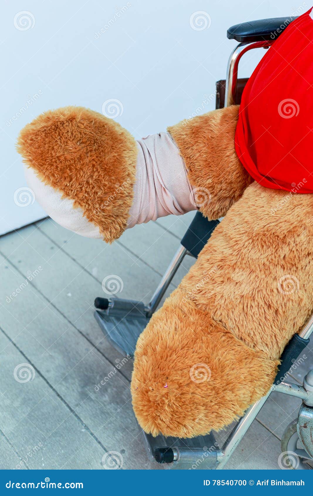 Bear and wheelchair stock photo. Image of snout, lovely - 78540700