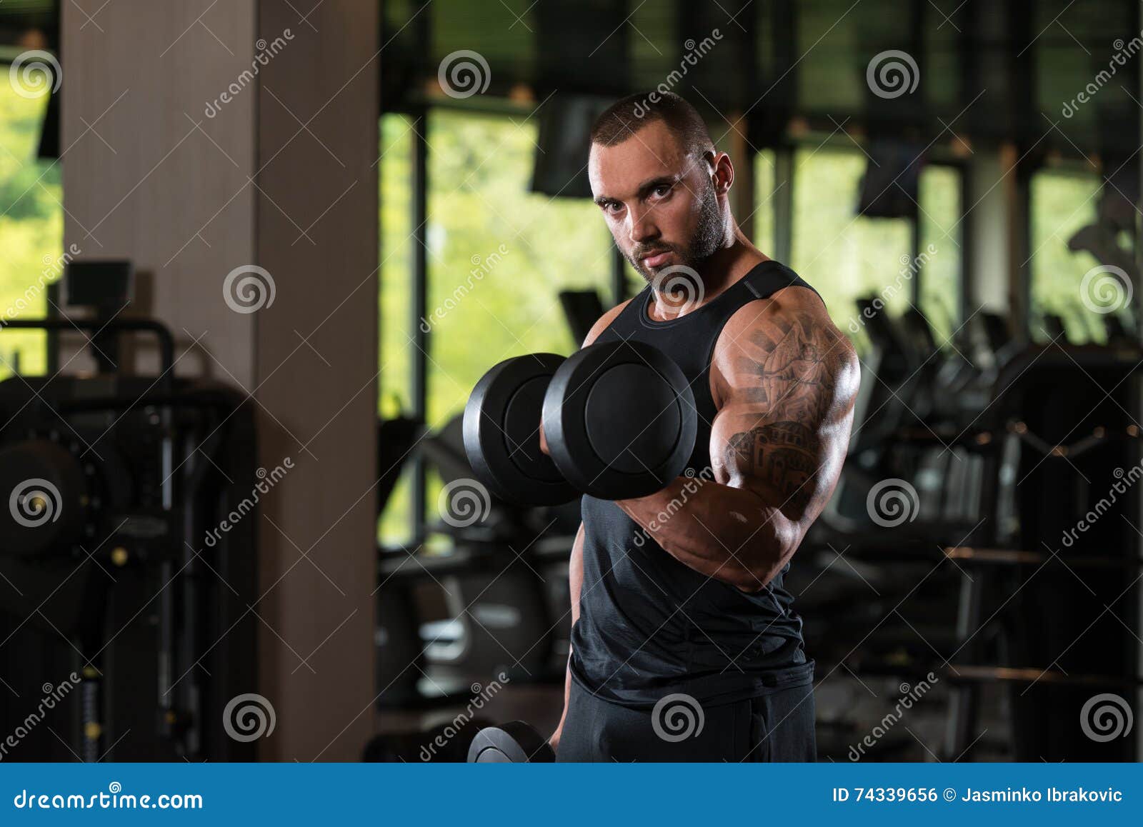 Beard Man Exercise Biceps with Dumbbells Stock Photo - Image of sport ...