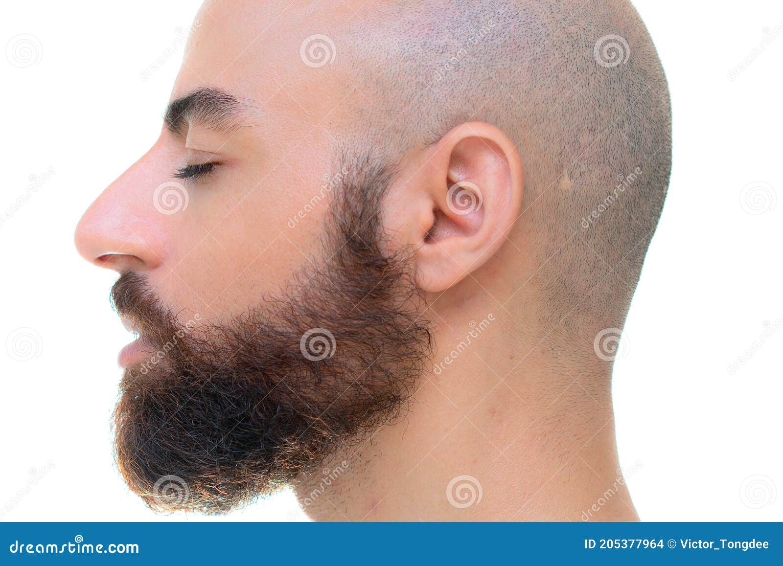 A Bearded Bold Man with Closed Eyes Profile Portrait Stock Photo ... A Bearded Bold Man with Closed Eyes Profile Portrait Stock Photo ...