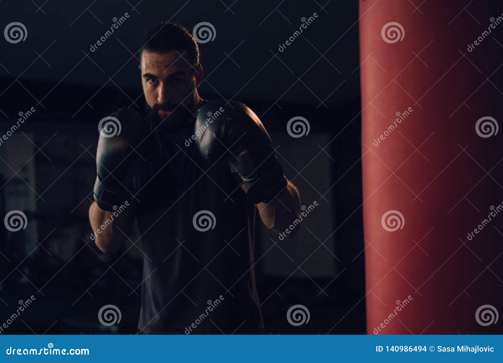 Boxer in Guard Posing by the Heavy Bag Stock Photo - Image of ...