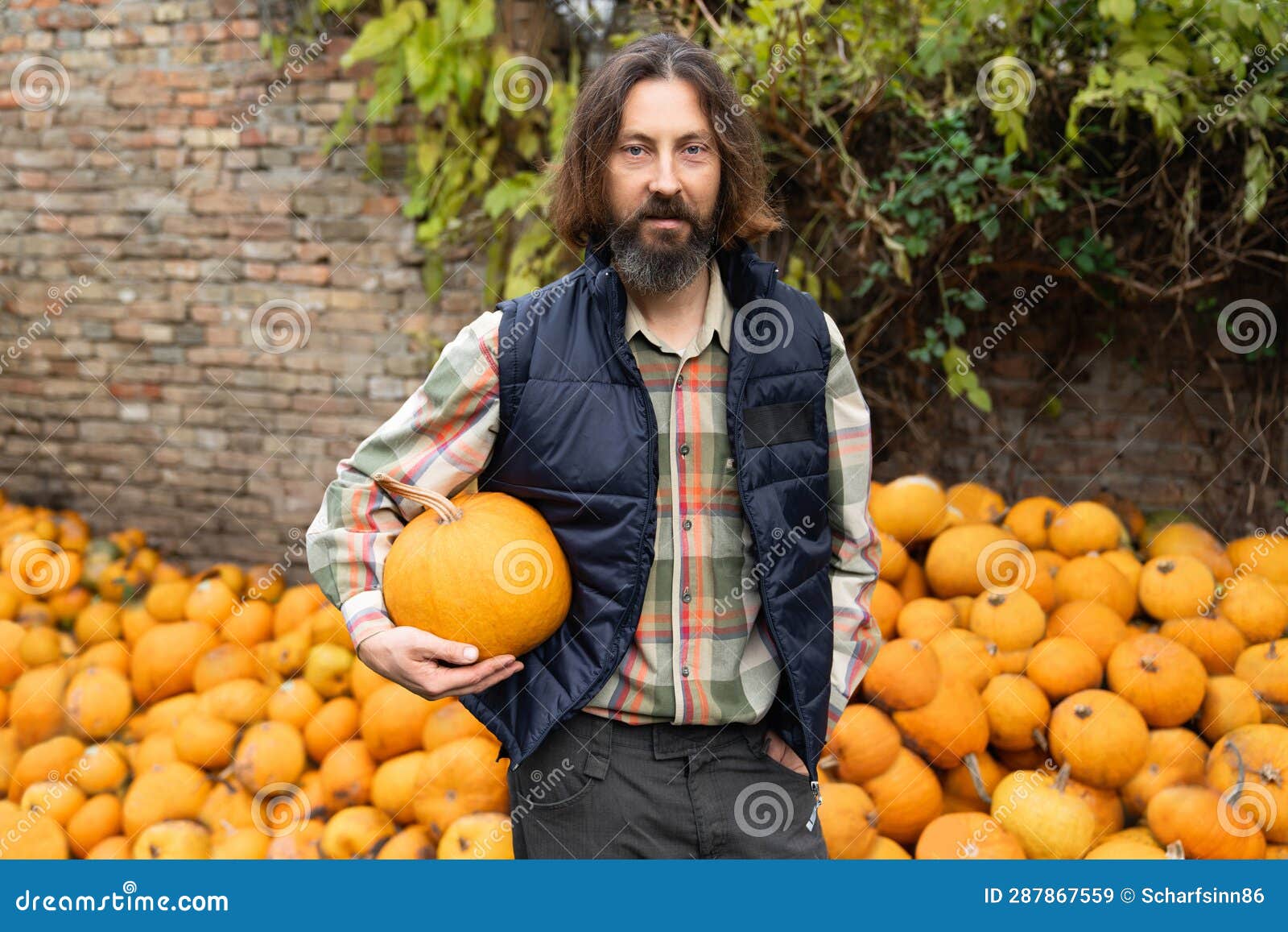 Bearded Farmer with Pumpkin on a Background of a Pile of Pumpkins Stock ...