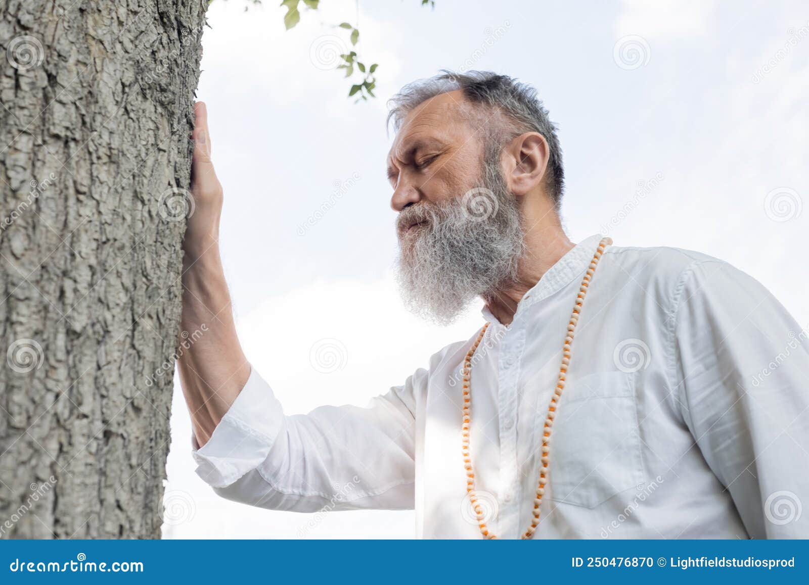 Bearded Guru Master in White Shirt Stock Photo - Image of senior ...