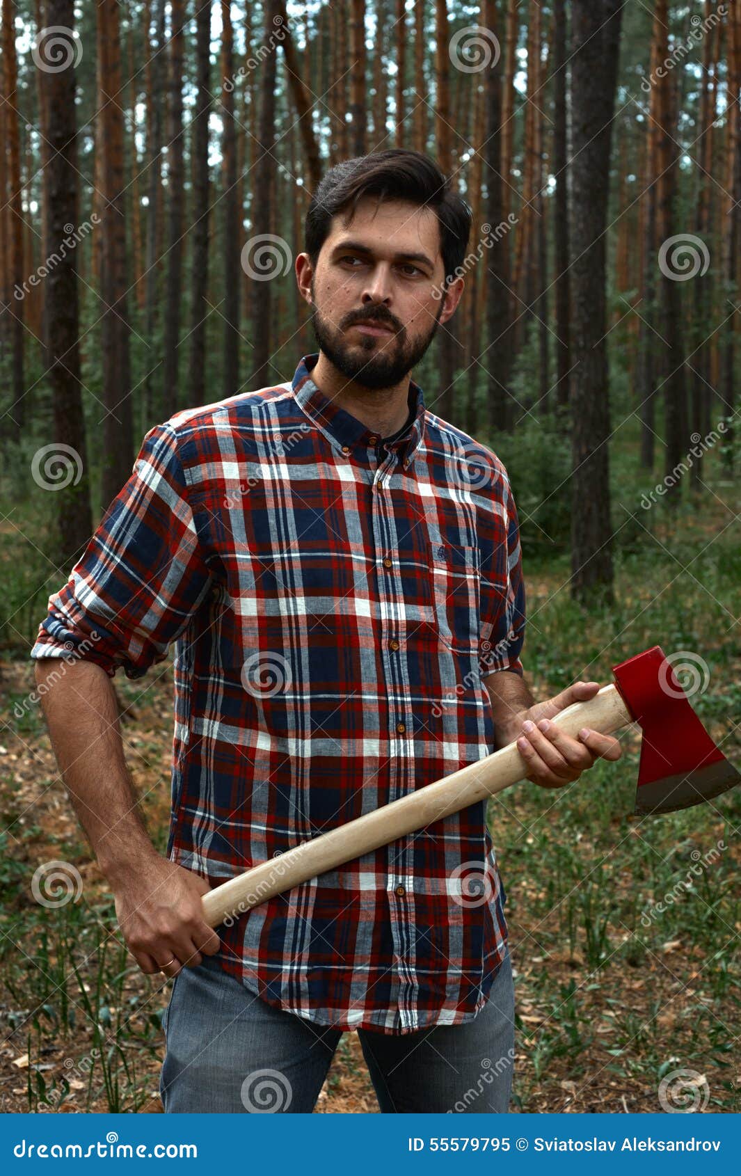 Bearded Lumberjack stock image. Image of nature, cutter - 55579795