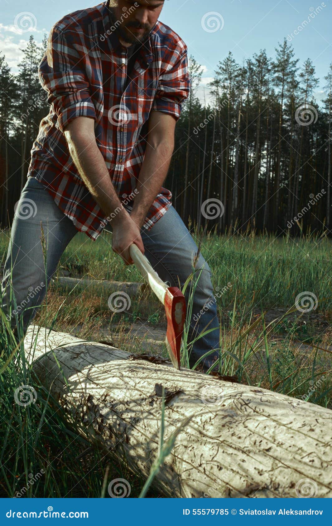 Bearded Lumberjack Cut a Tree Stock Image - Image of rural, hipster ...