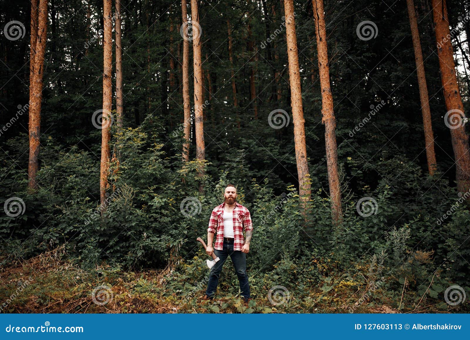 Bearded Lumberjack Worker Standing in Forest with Axe Stock Image ...