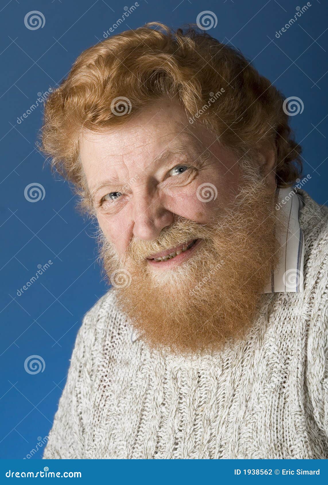 Bearded man stock photo. Image of senior, full, craftsman - 1938562