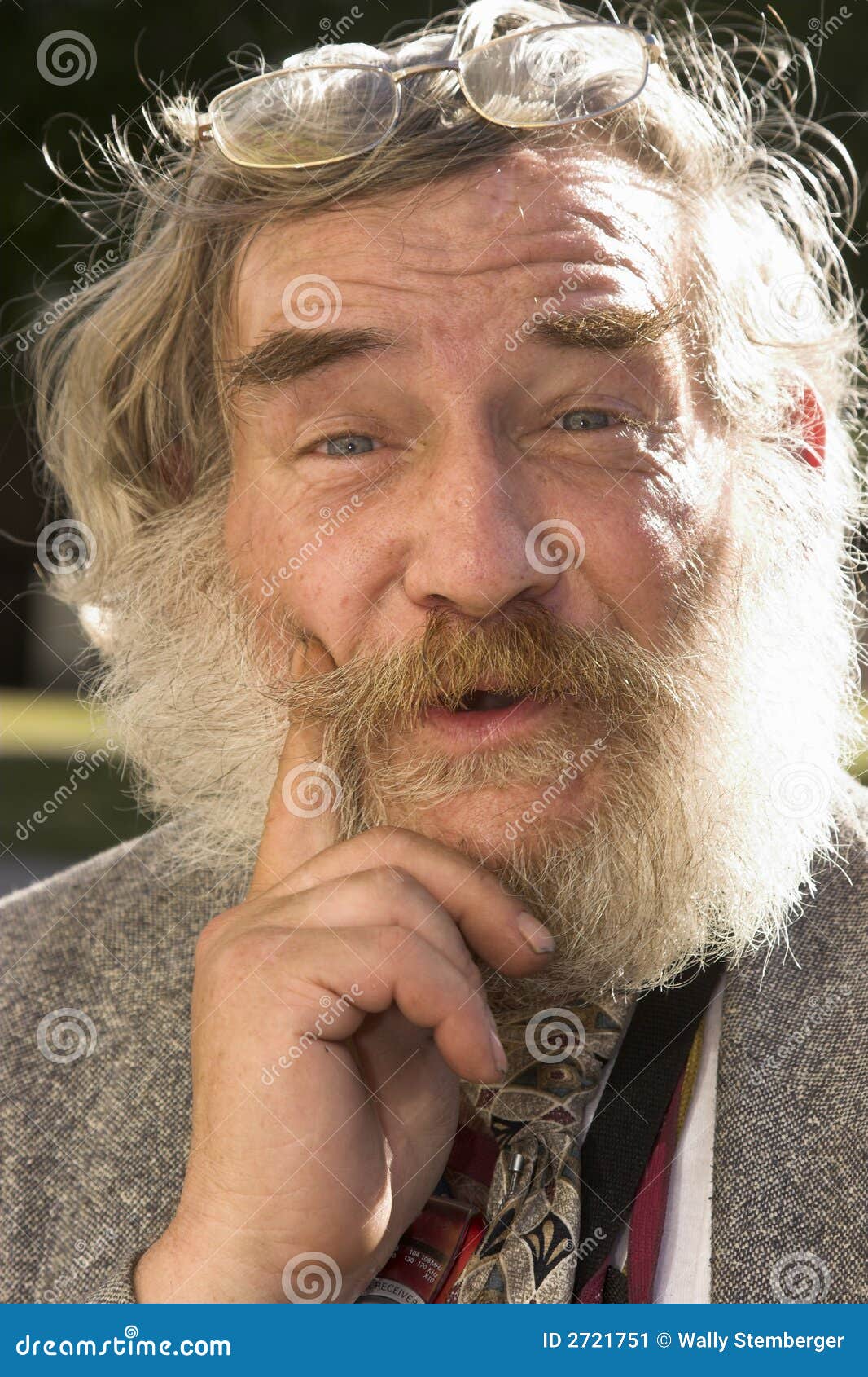 Bearded man stock image. Image of pondering, tweed, gold - 2721751