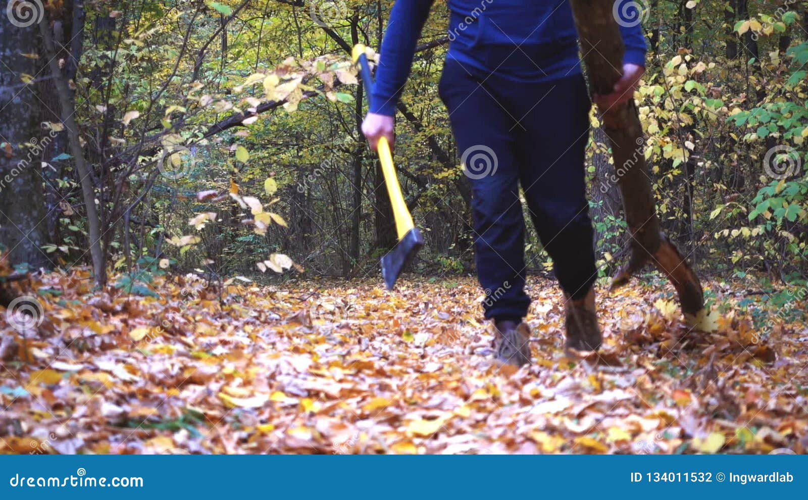Bearded Man in the Forest with an Ax Slowing Down. Stock Footage ...