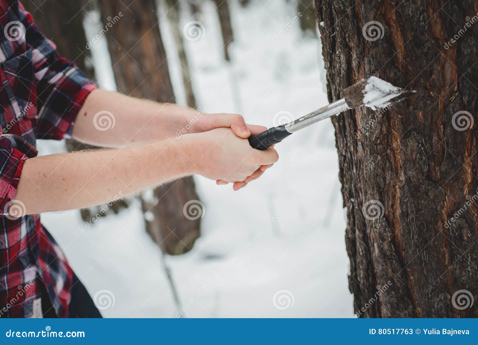 Bearded Man with an Hatchet in the Winter Forest Stock Image - Image of ...