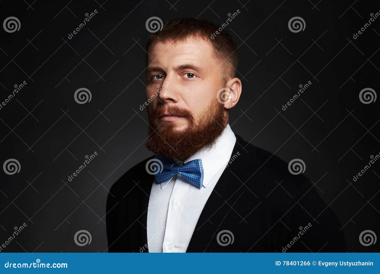 Bearded Man.Old Hipster Handsome Man with Big Beard Stock Photo - Image ...