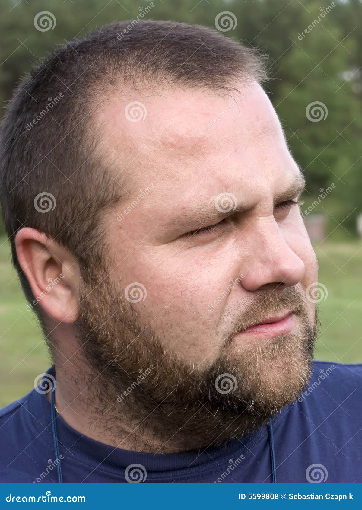 Bearded man portrait stock photo. Image of boldly, bravely - 5599808