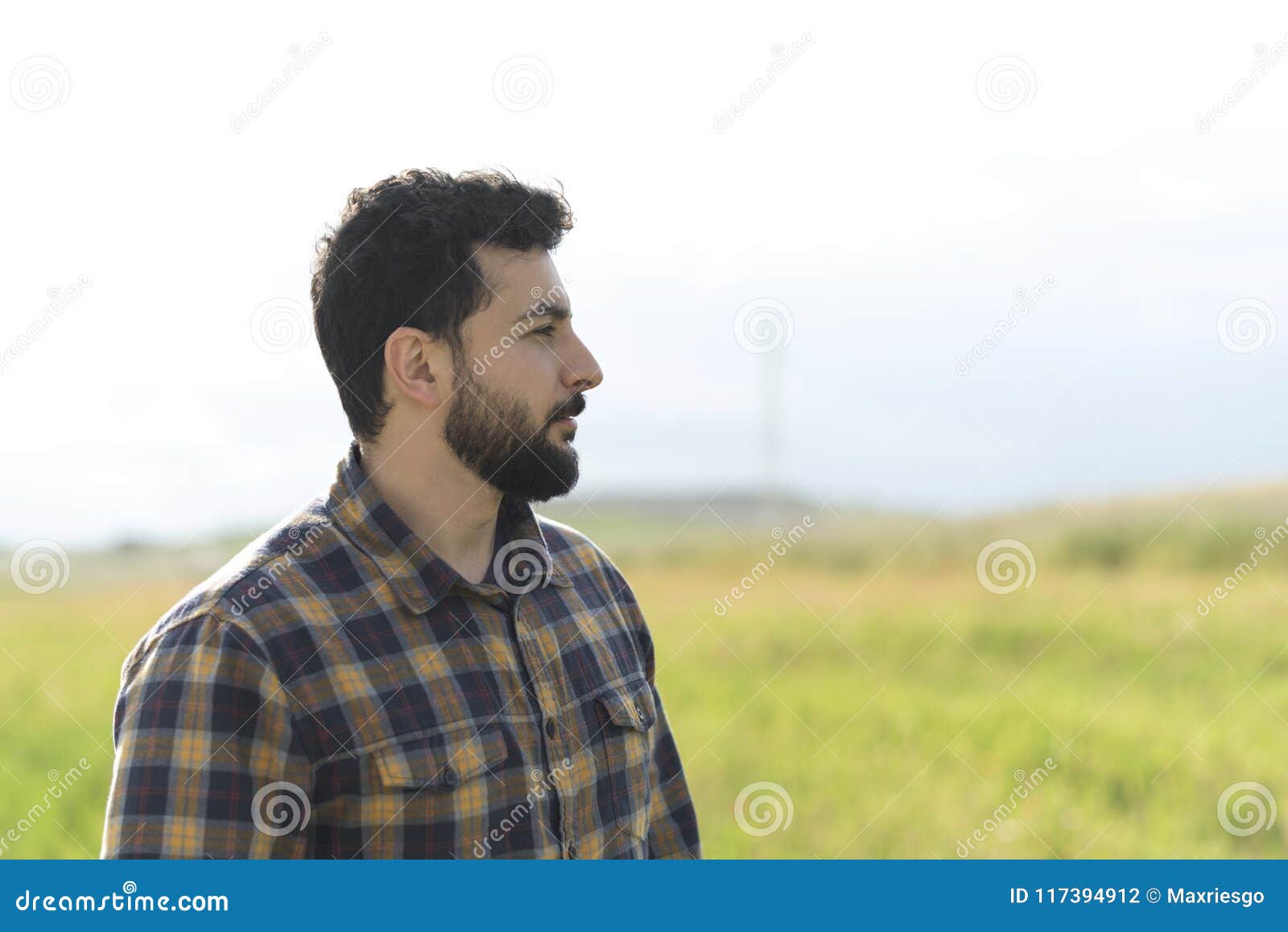 Bearded Man Profile Image Looking Out of Frame Stock Photo - Image of ...