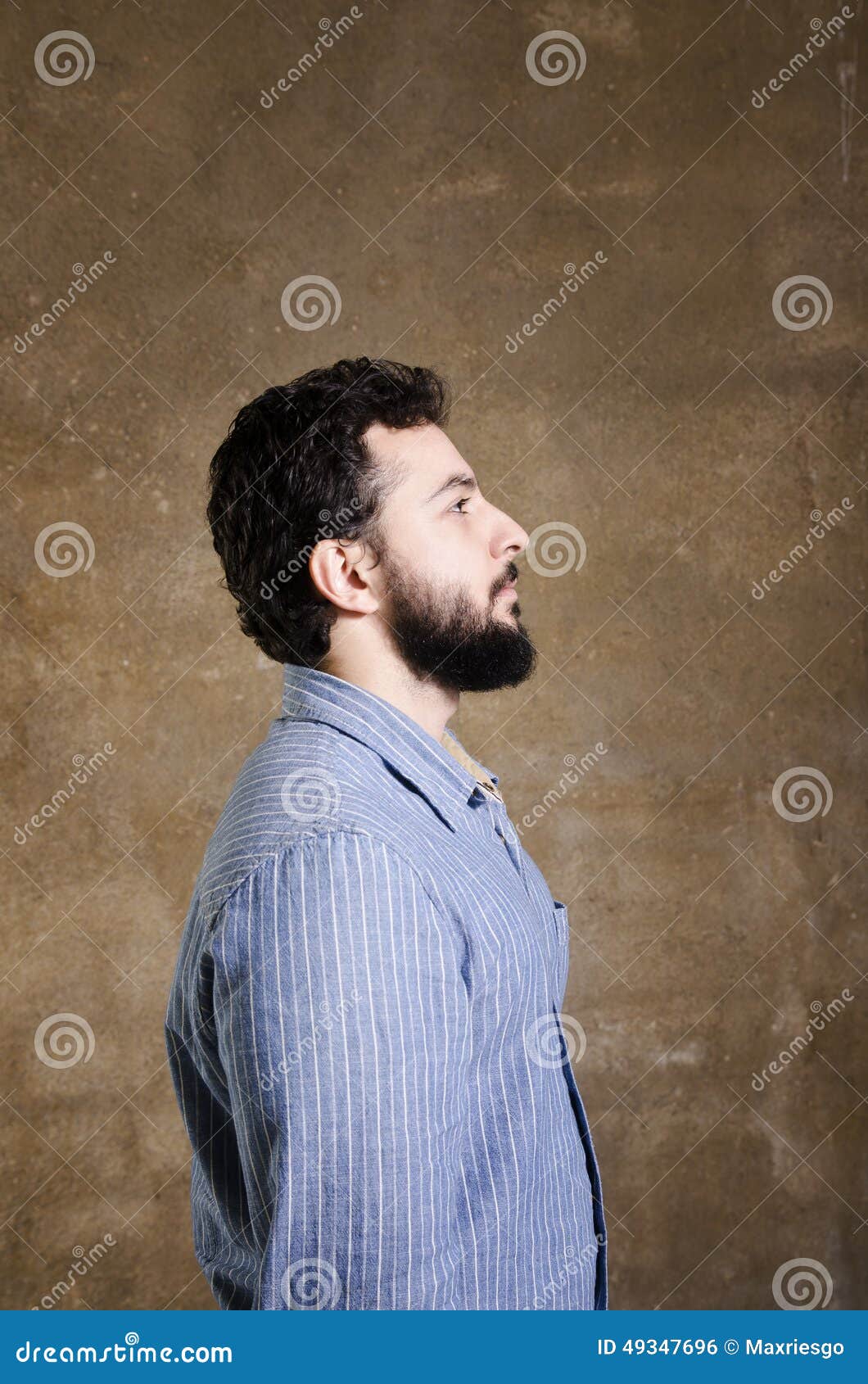 Bearded man profile stock photo. Image of haired, portrait - 49347696