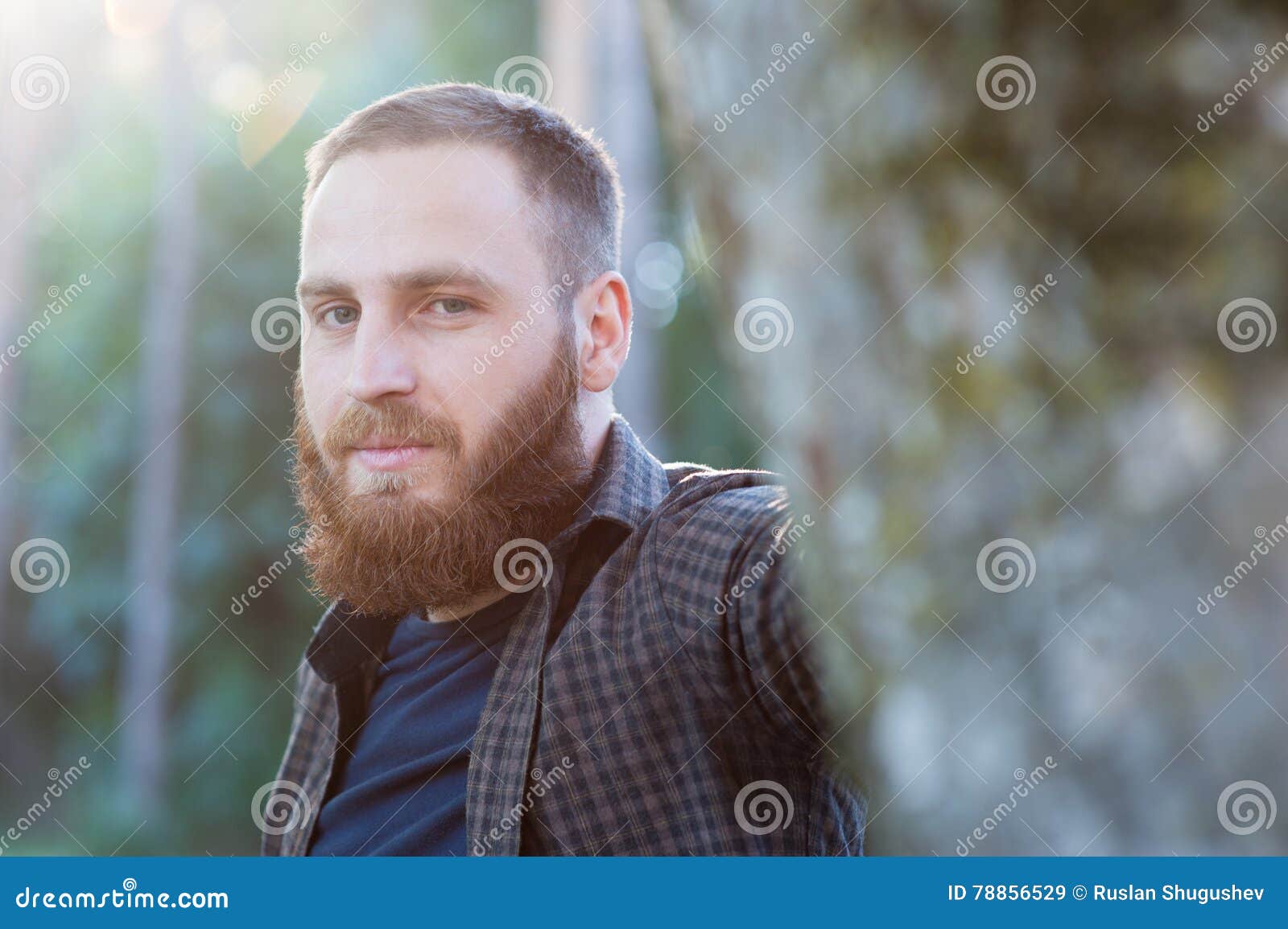 Bearded Man in Shirt Standing Behind a Tree Stock Image - Image of ...