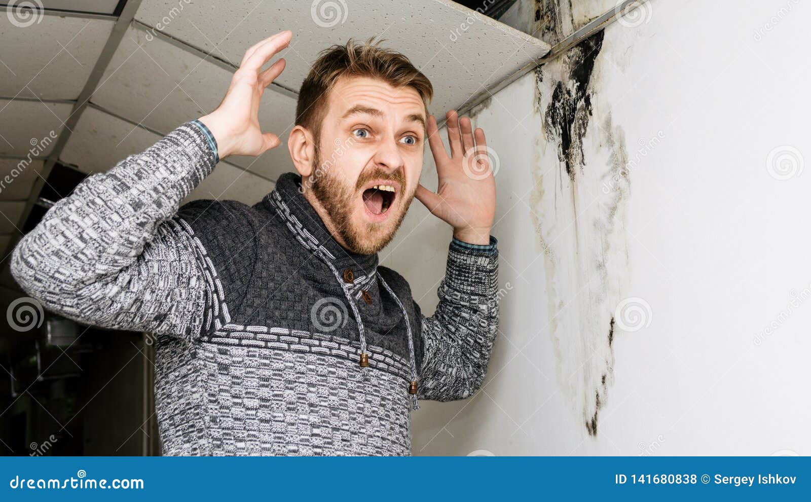 Bearded Man in Shock from the Black Mold on the Wall and Ceiling Stock ...