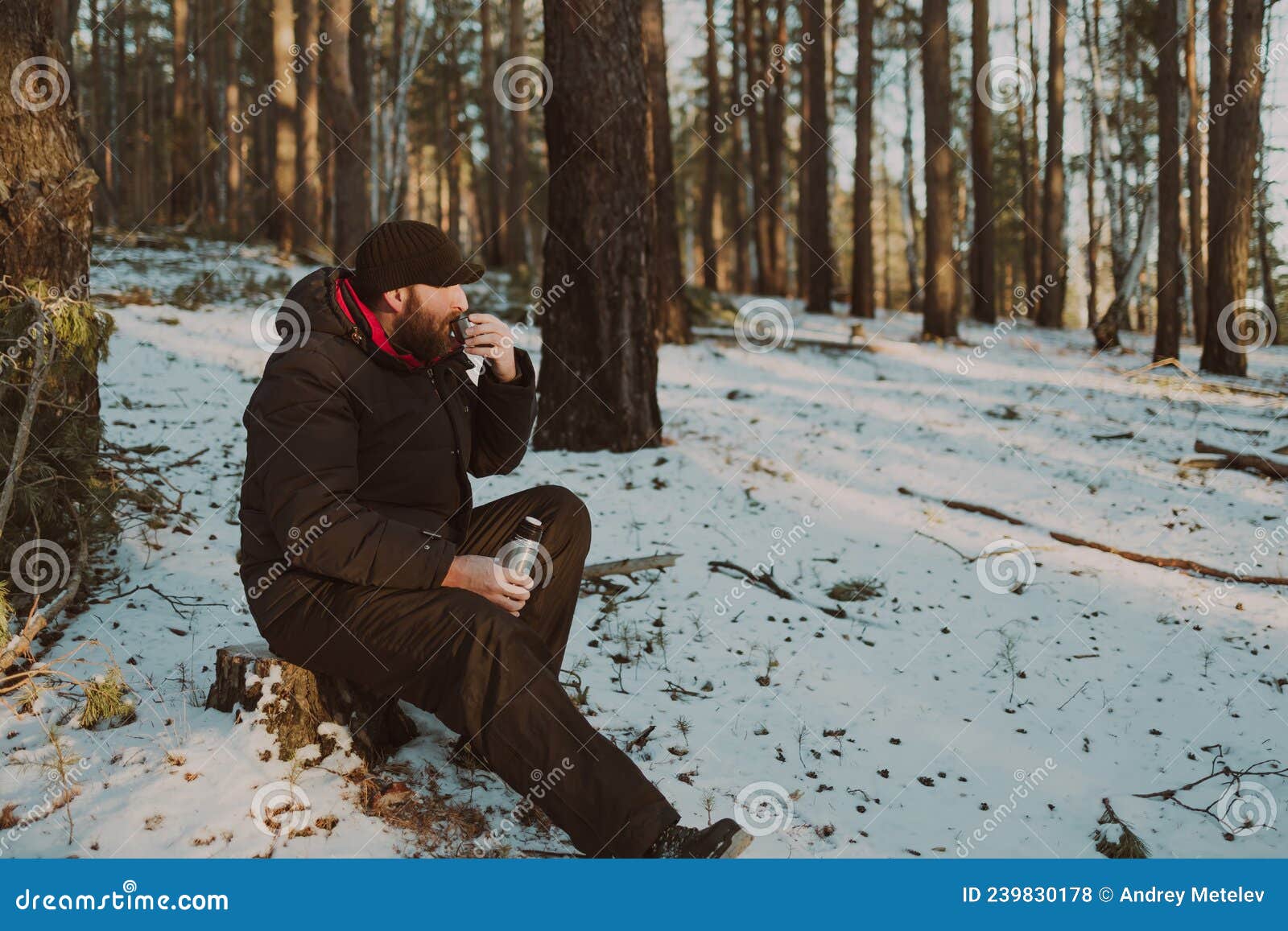 A Bearded Man Sits on a Tree Stump in the Forest and Drinks Tea from a ...
