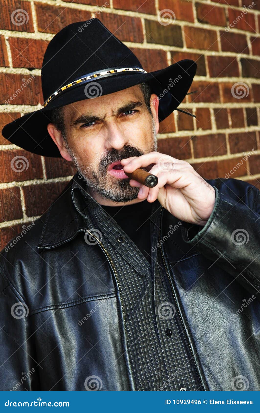 Bearded man smoking cigar stock photo. Image of beard - 10929496