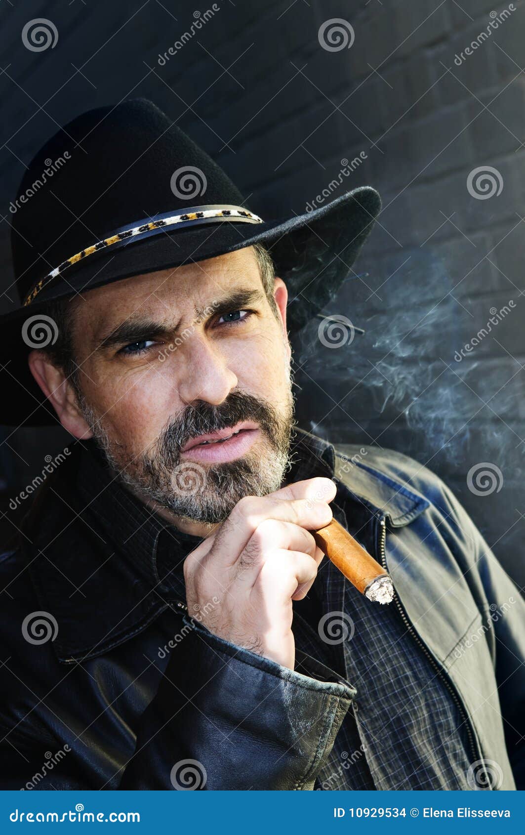 Bearded man smoking cigar stock photo. Image of outdoor - 10929534