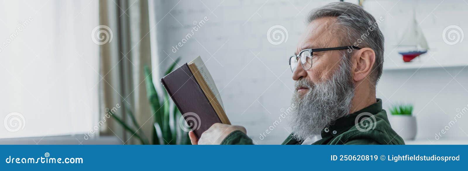 Bearded Senior Man In Eyeglasses Reading Stock Image Image Of Senior