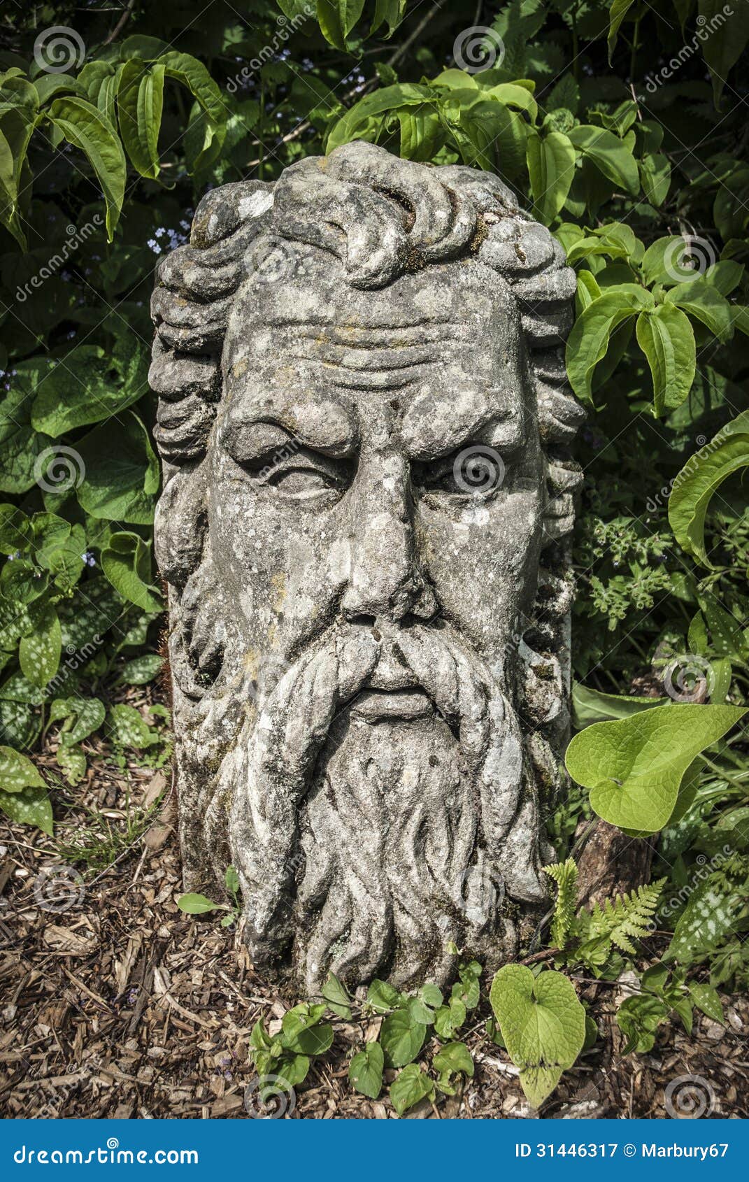 Bearded Stone Head stock image. Image of visage, rough - 31446317