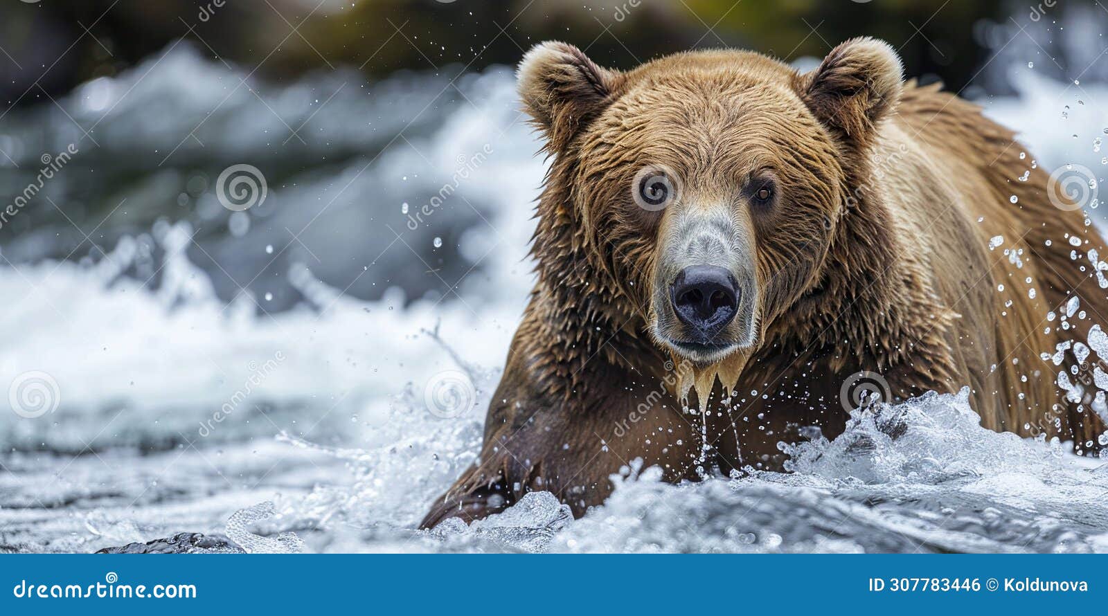 Predator And Prey Face To Face Royalty-Free Stock Photography ...