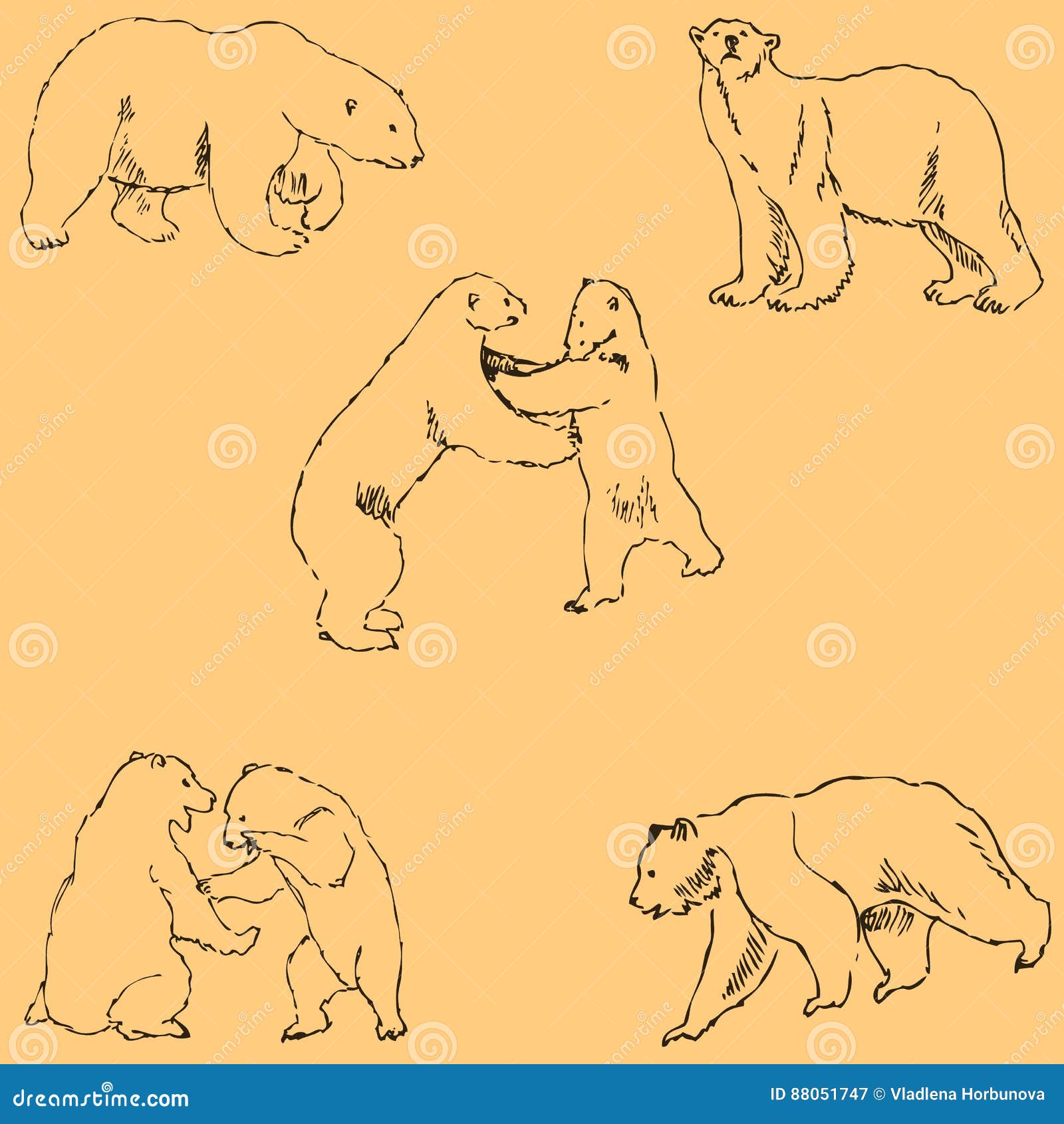 The Bears. Sketch By Hand. Pencil Drawing By Hand. Vector Image. The ...