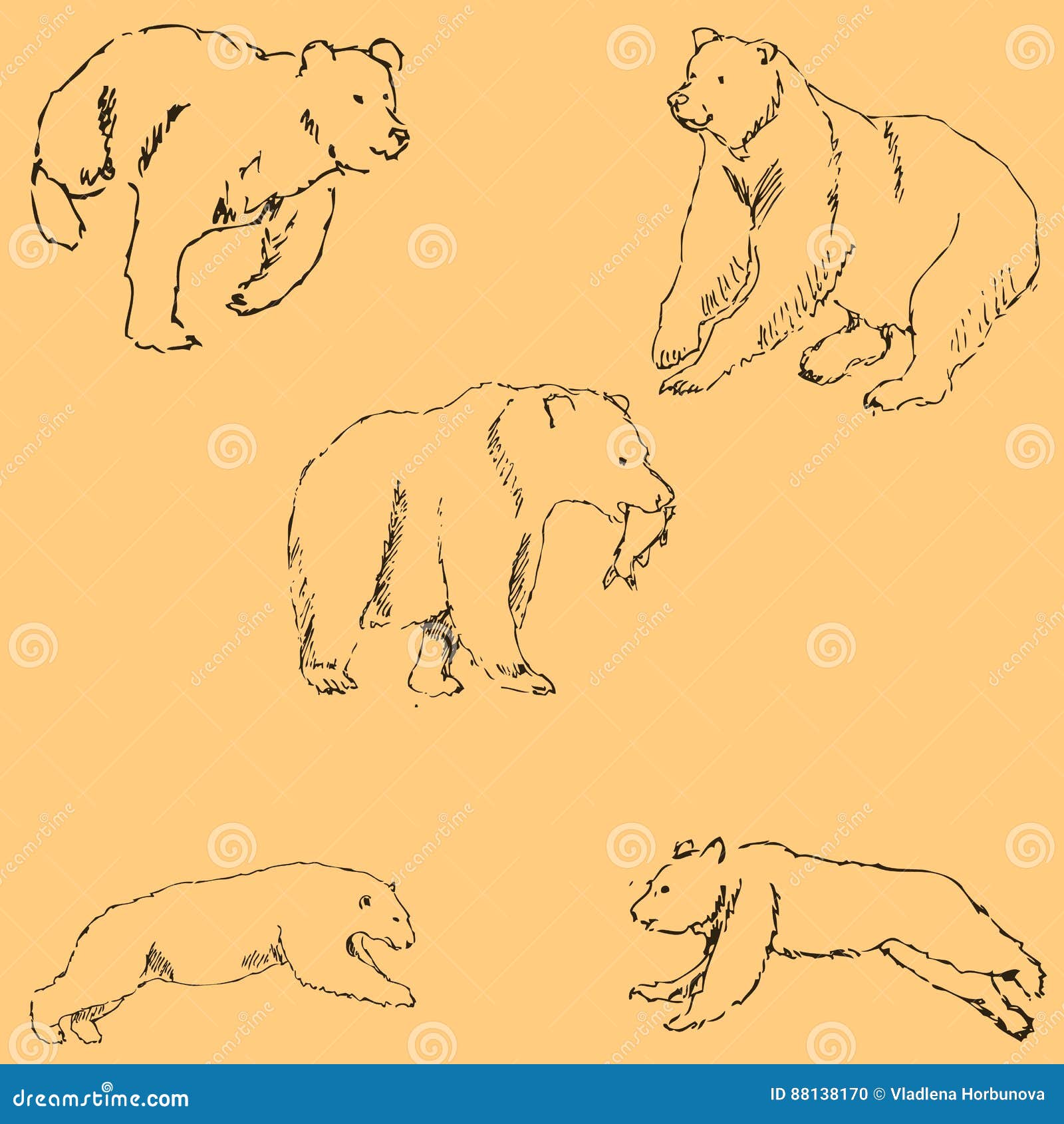 The Bears. Sketch By Hand. Pencil Drawing By Hand. Vector Image. The ...