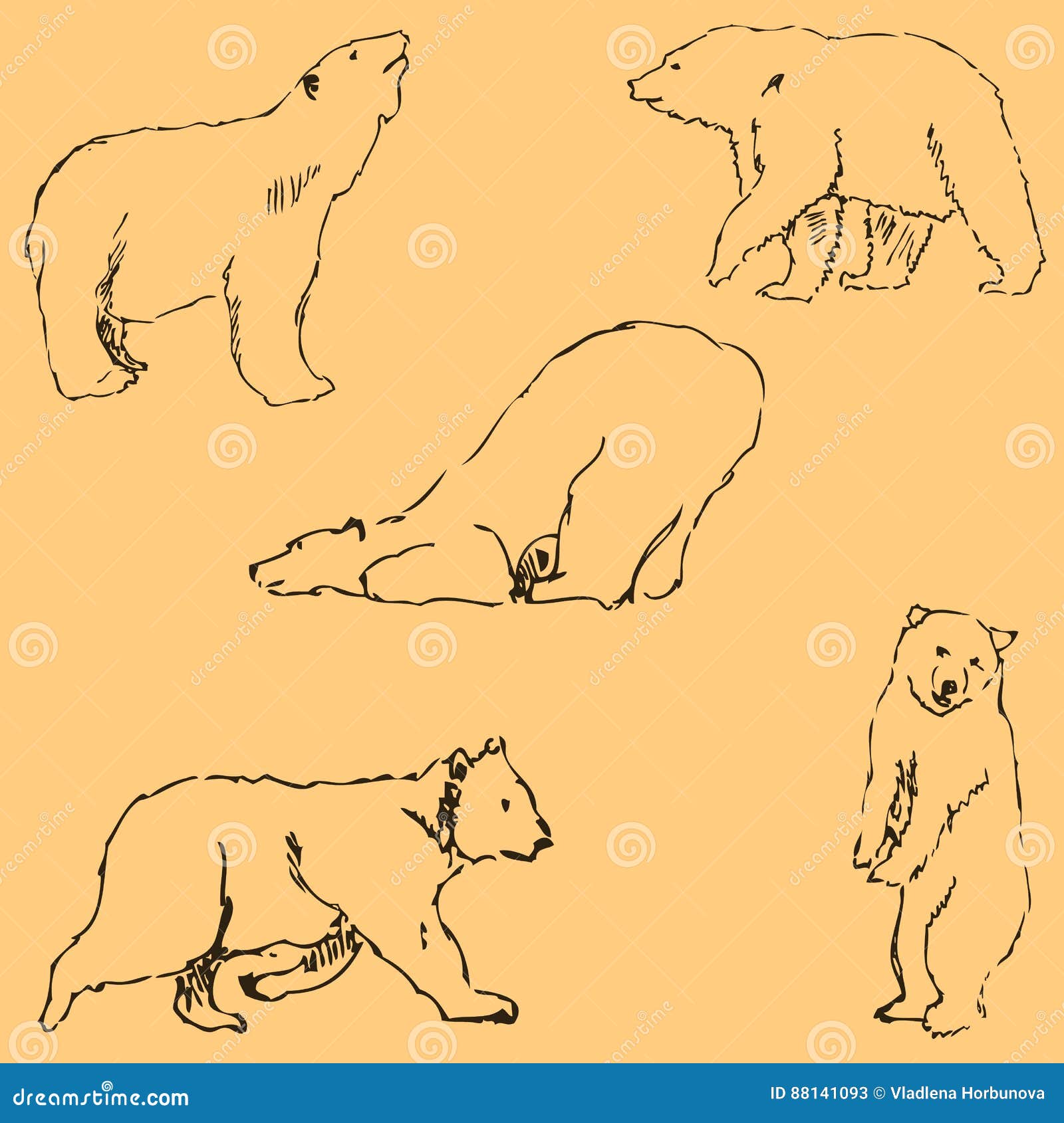 The Bears. Sketch By Hand. Pencil Drawing By Hand. Vector Image. The ...