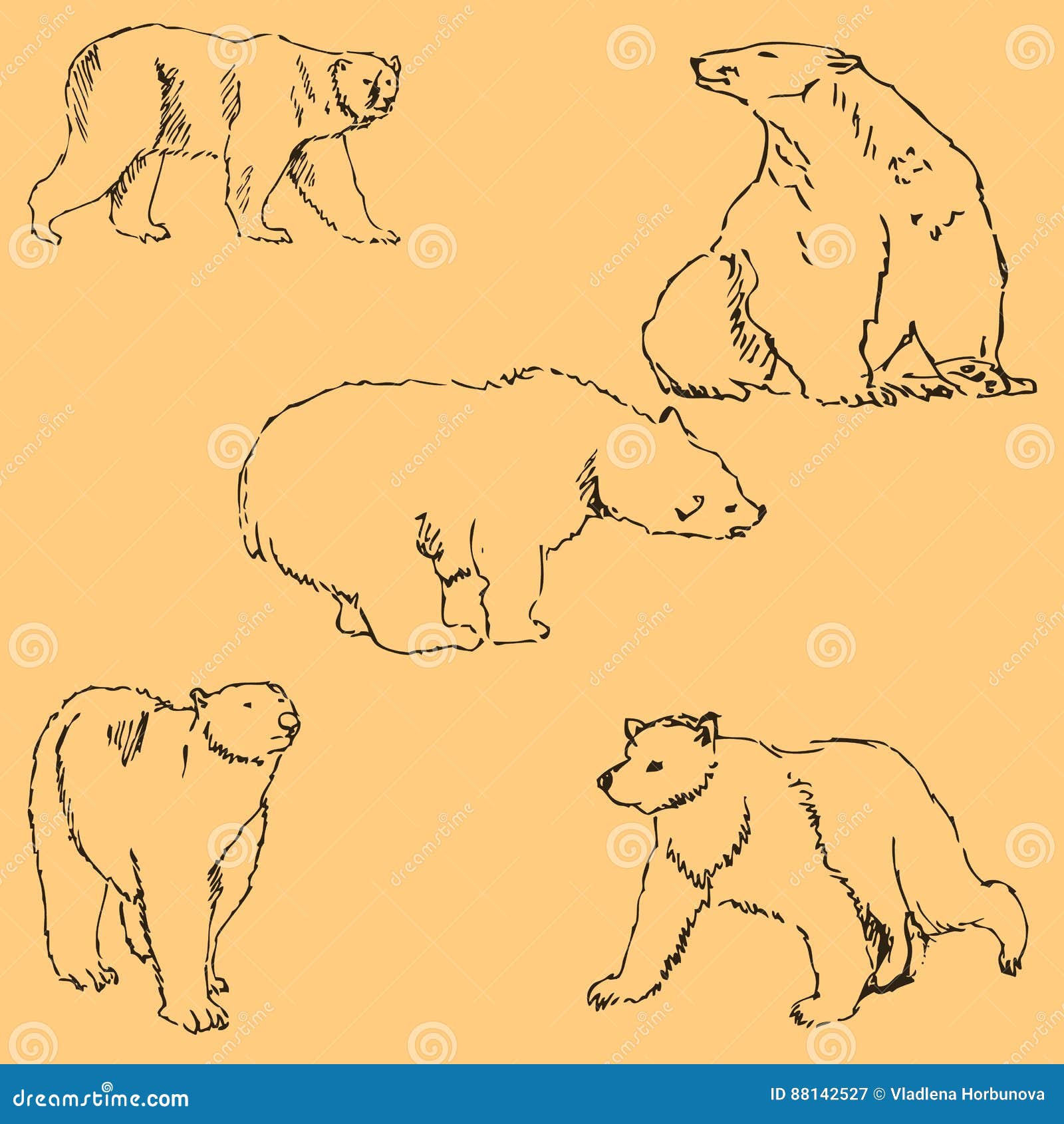 The Bears. Sketch By Hand. Pencil Drawing By Hand. Vector Image. The ...