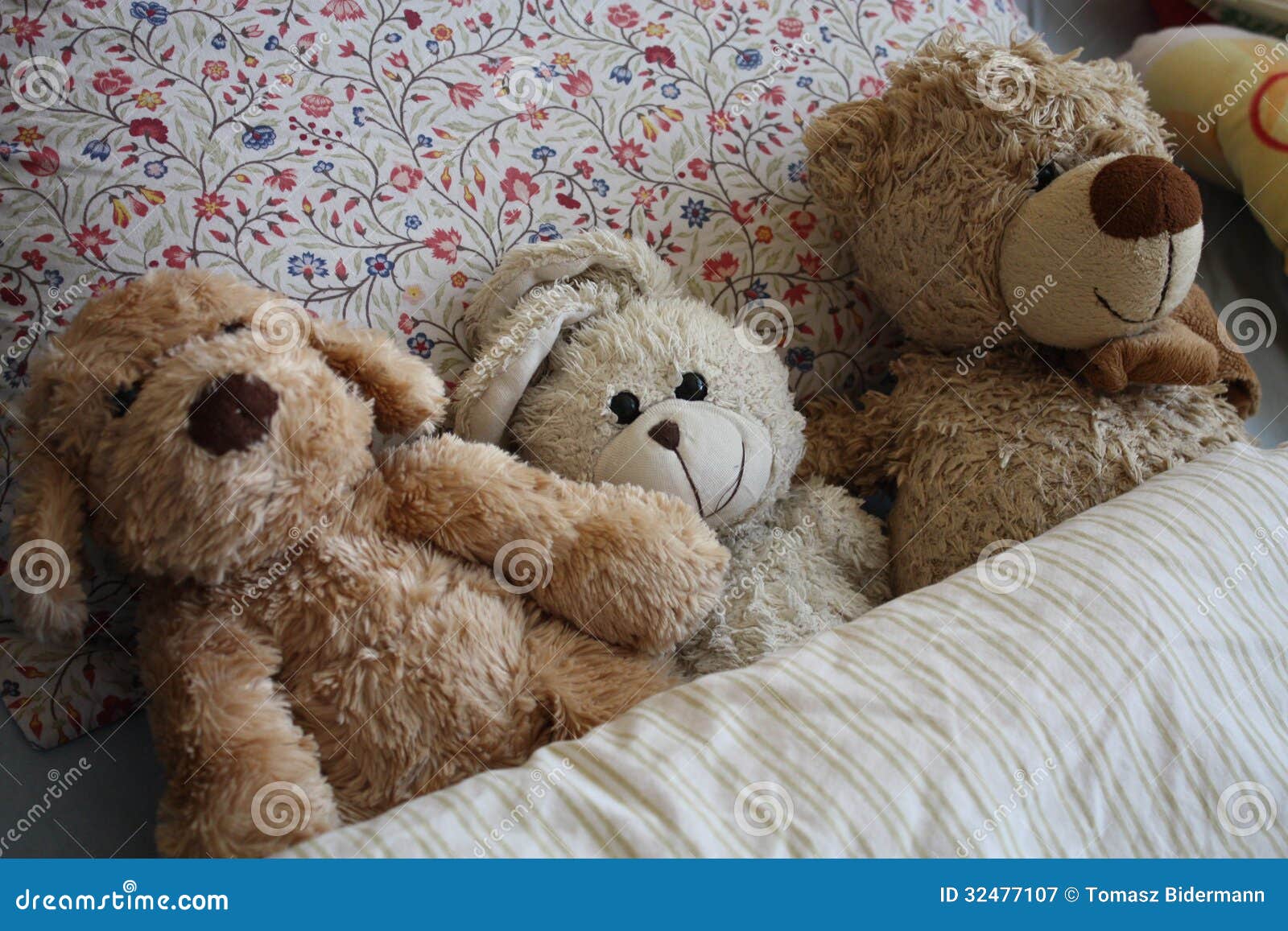 Bears stock image. Image of animals, teddybear, bedroom - 32477107