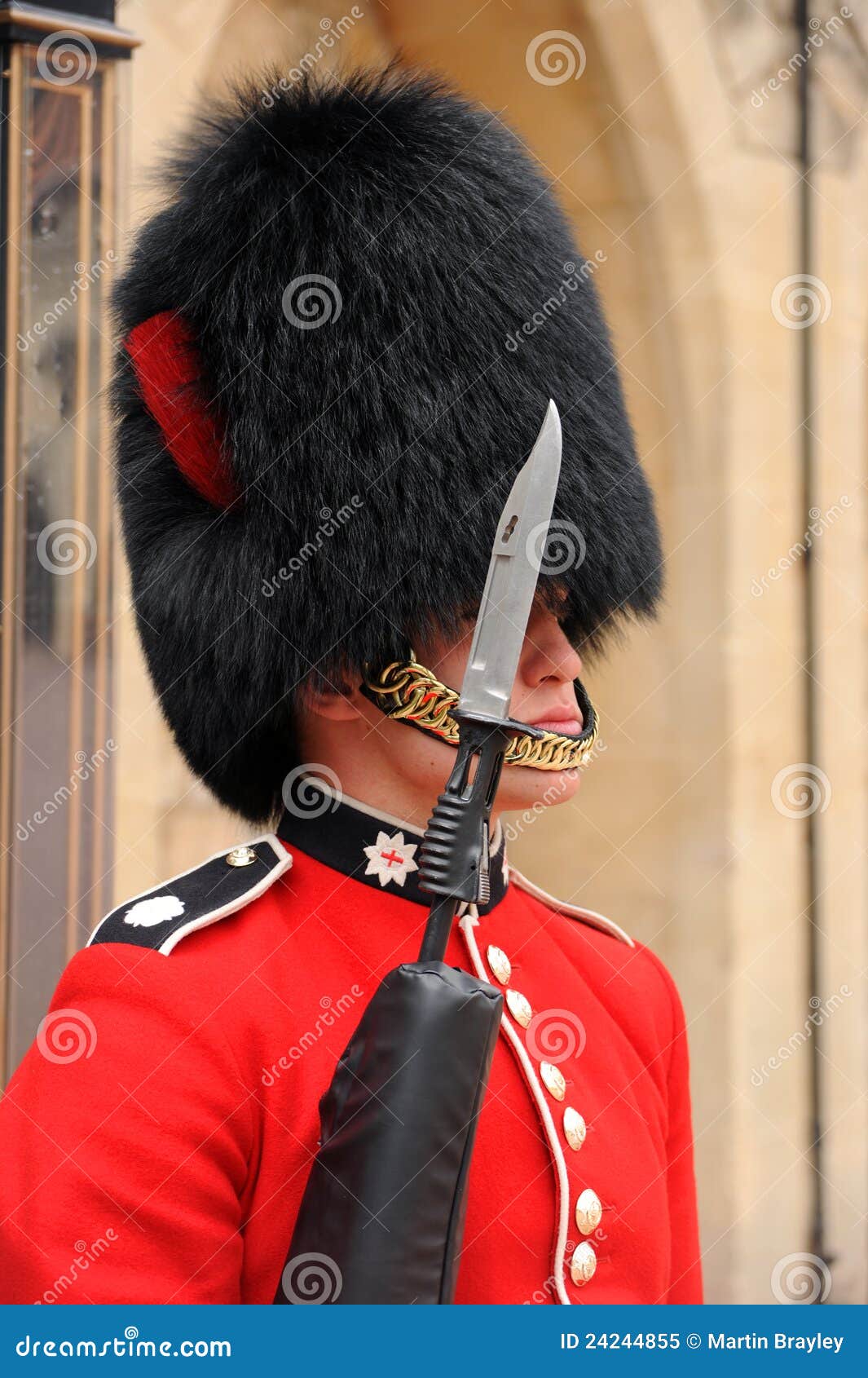 Bearskin and bayonet. editorial image. Image of england - 24244855