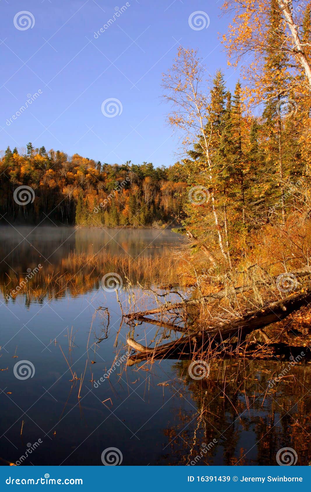 Bearskin Lake in Fall stock image. Image of orange, lake - 16391439