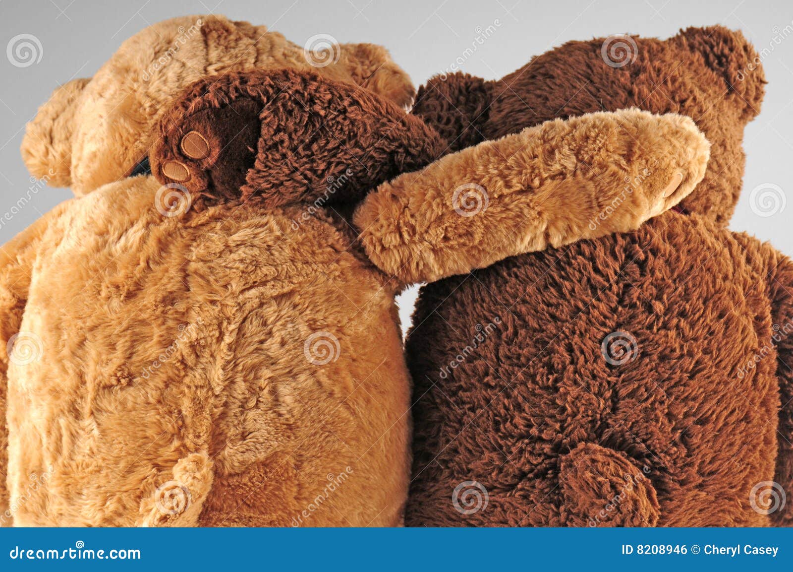 Beary good friends stock photo. Image of compassion, caring - 8208946