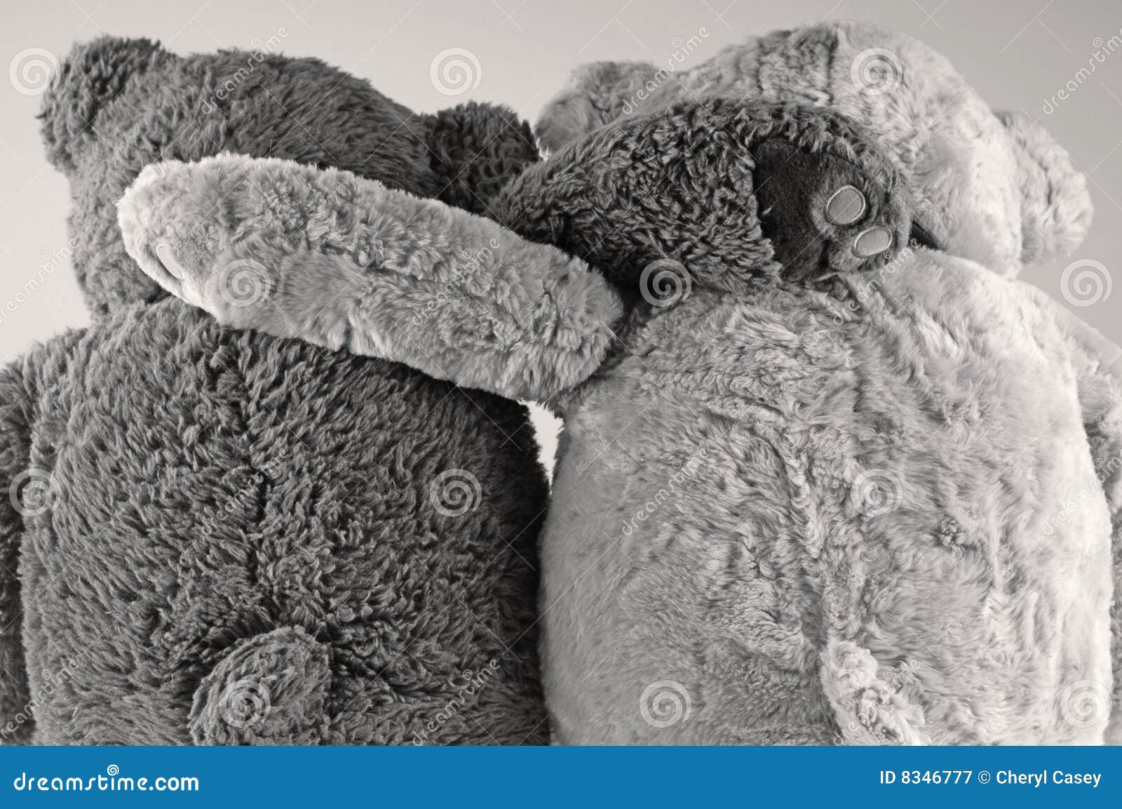 Beary good friends stock image. Image of caring, embarrassed - 8346777