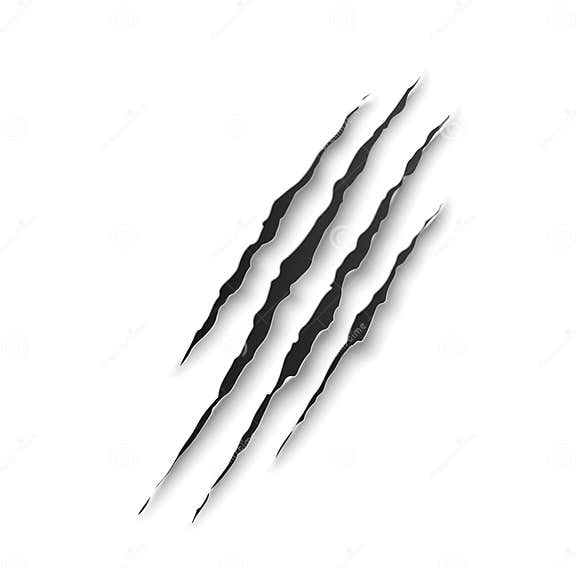 Beast Claw Marks Scratches or Wild Animal Traces Stock Vector ... Beast Claw Marks Scratches or Wild Animal Traces Stock Vector ...